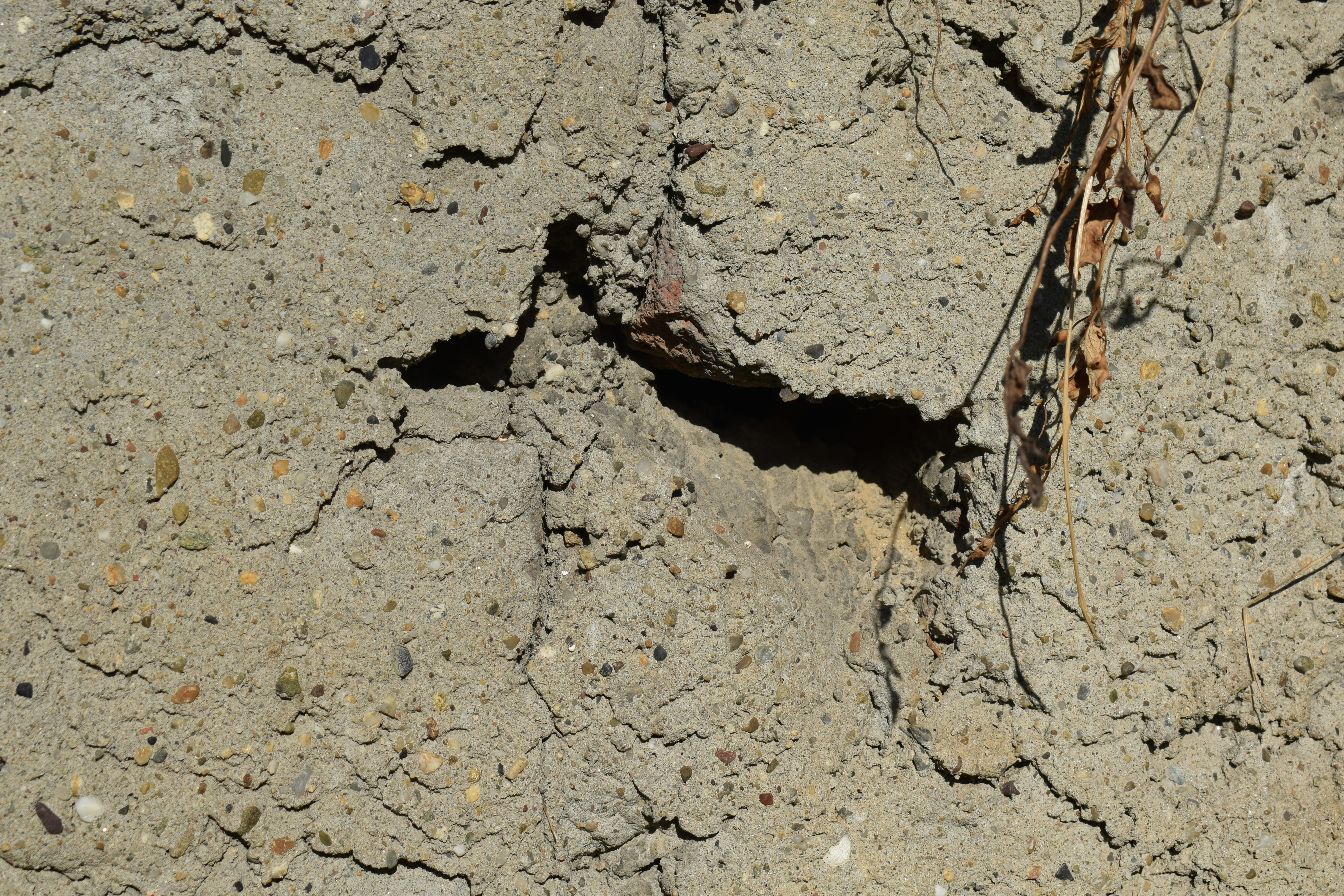 Photo by Marija Zaric with Nikon D5300