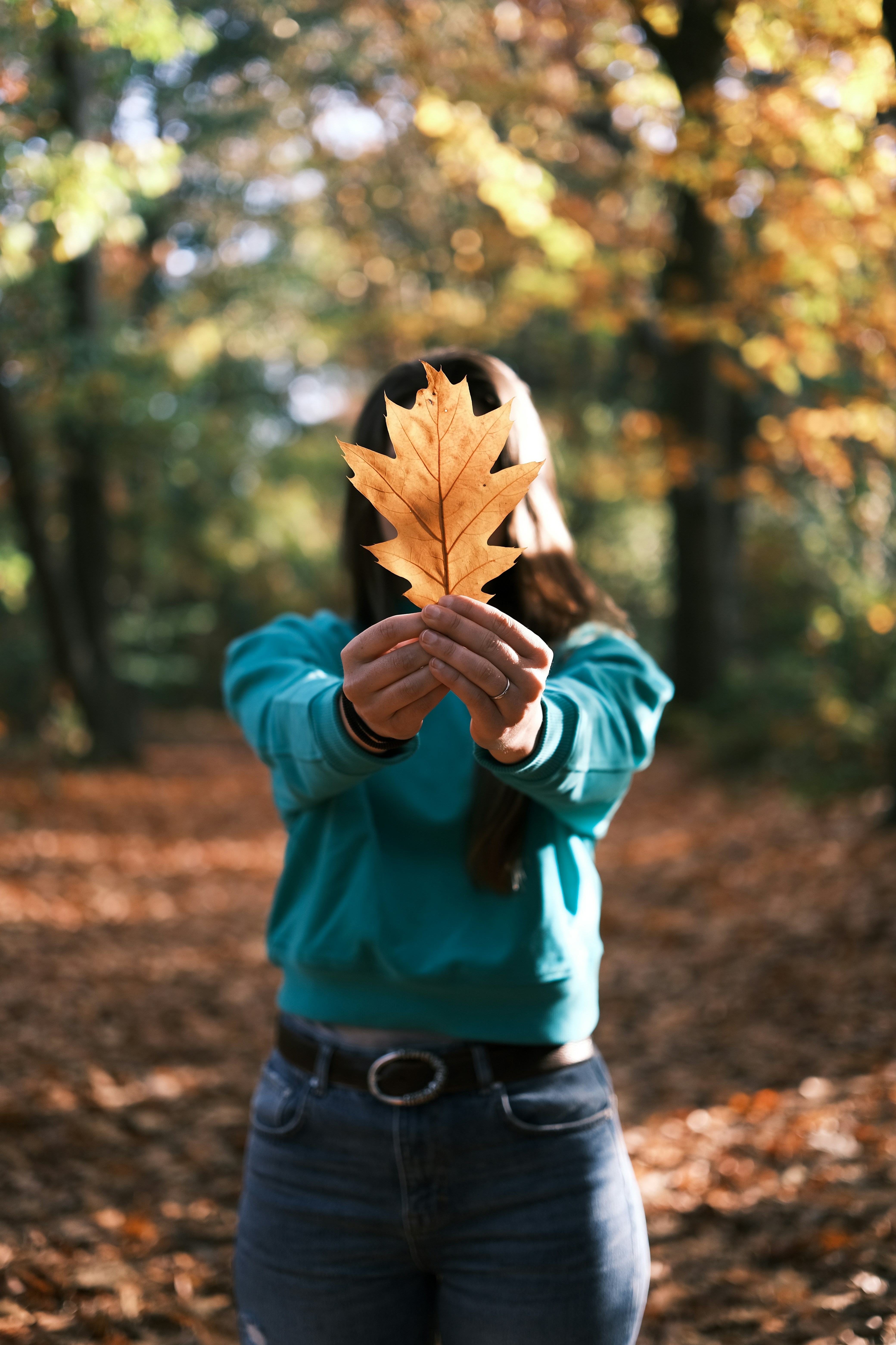 A person holding a vibrant autumn leaf in a sunlit forest, surrounded by a carpet of fallen leaves. The scene captures the essence of the fall season.