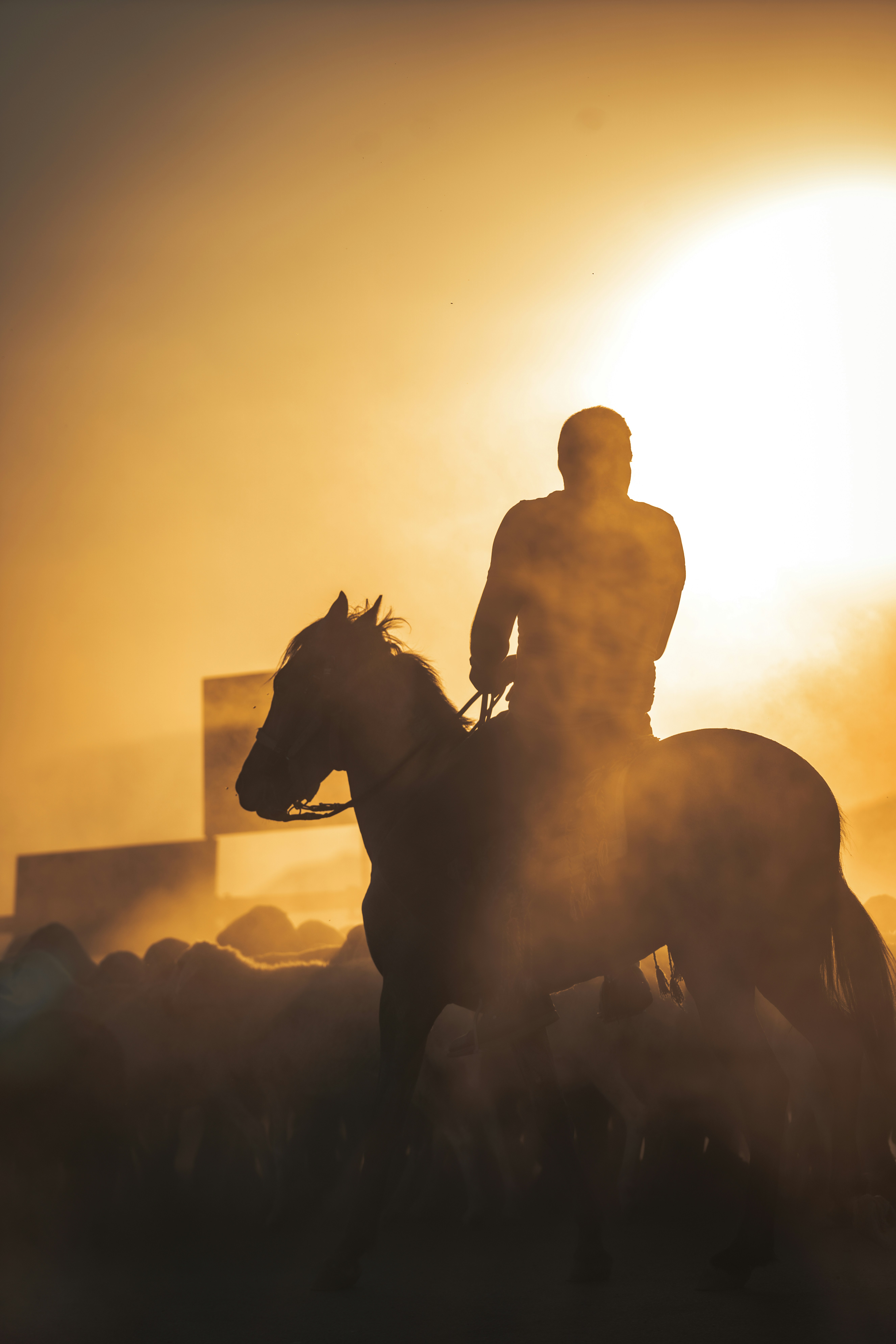 A person riding a horse photo – Free Image on Unsplash