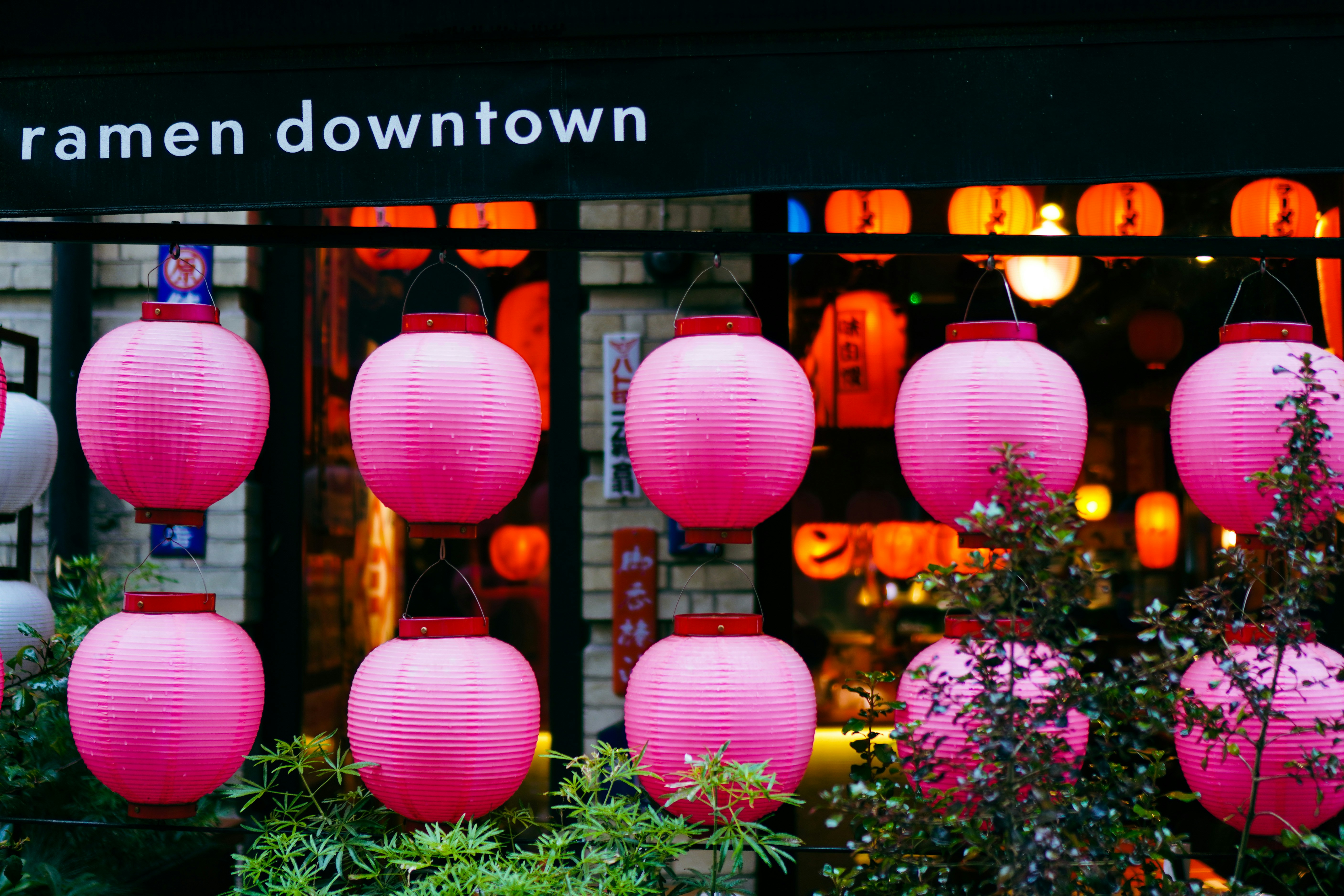A group of red and white lanterns photo – Free London Image on Unsplash