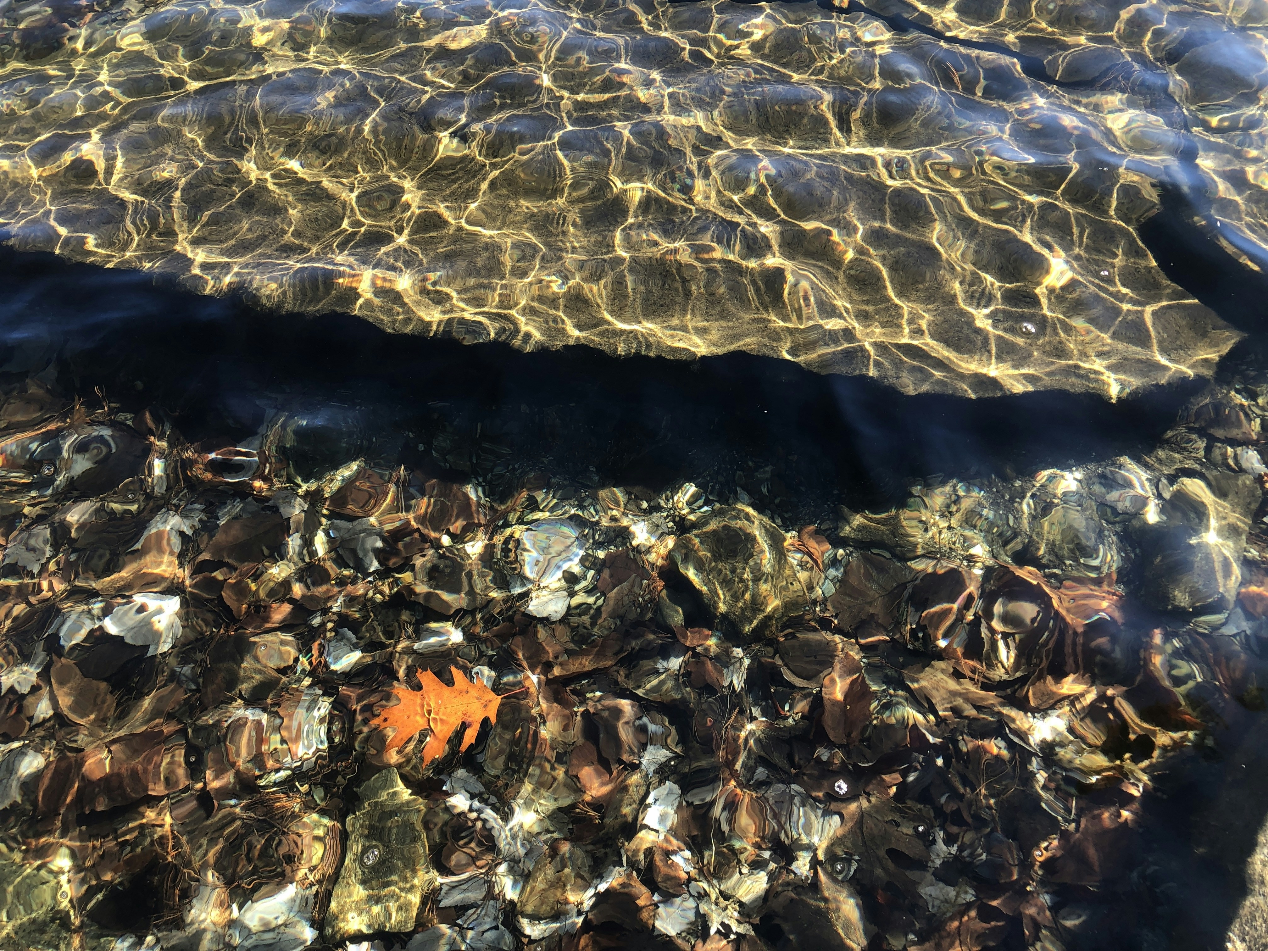 Lakeside reflections