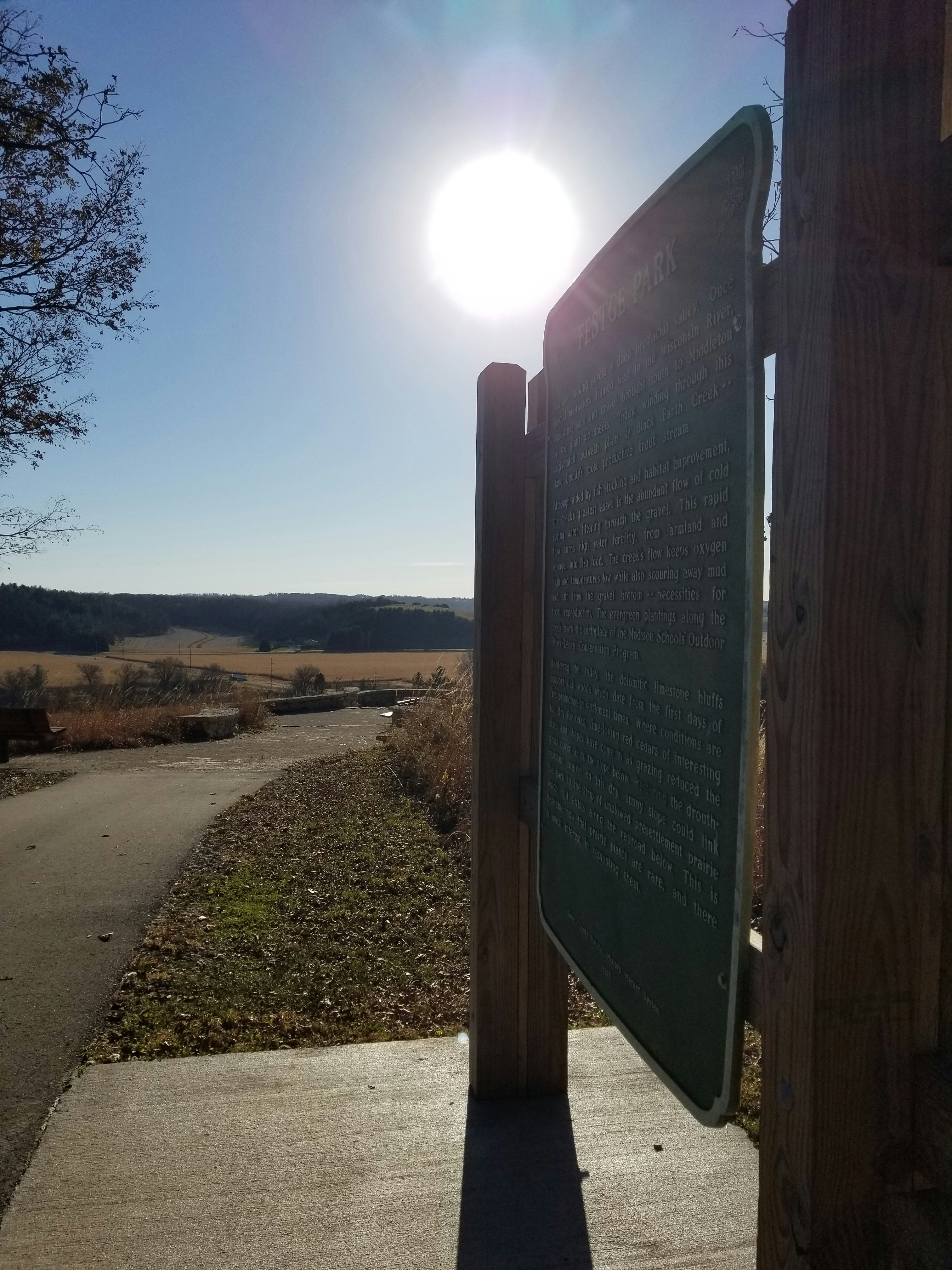 Sunlit Sentinel: A Framed Plaque Overlooking a Quiet Meadow Trail