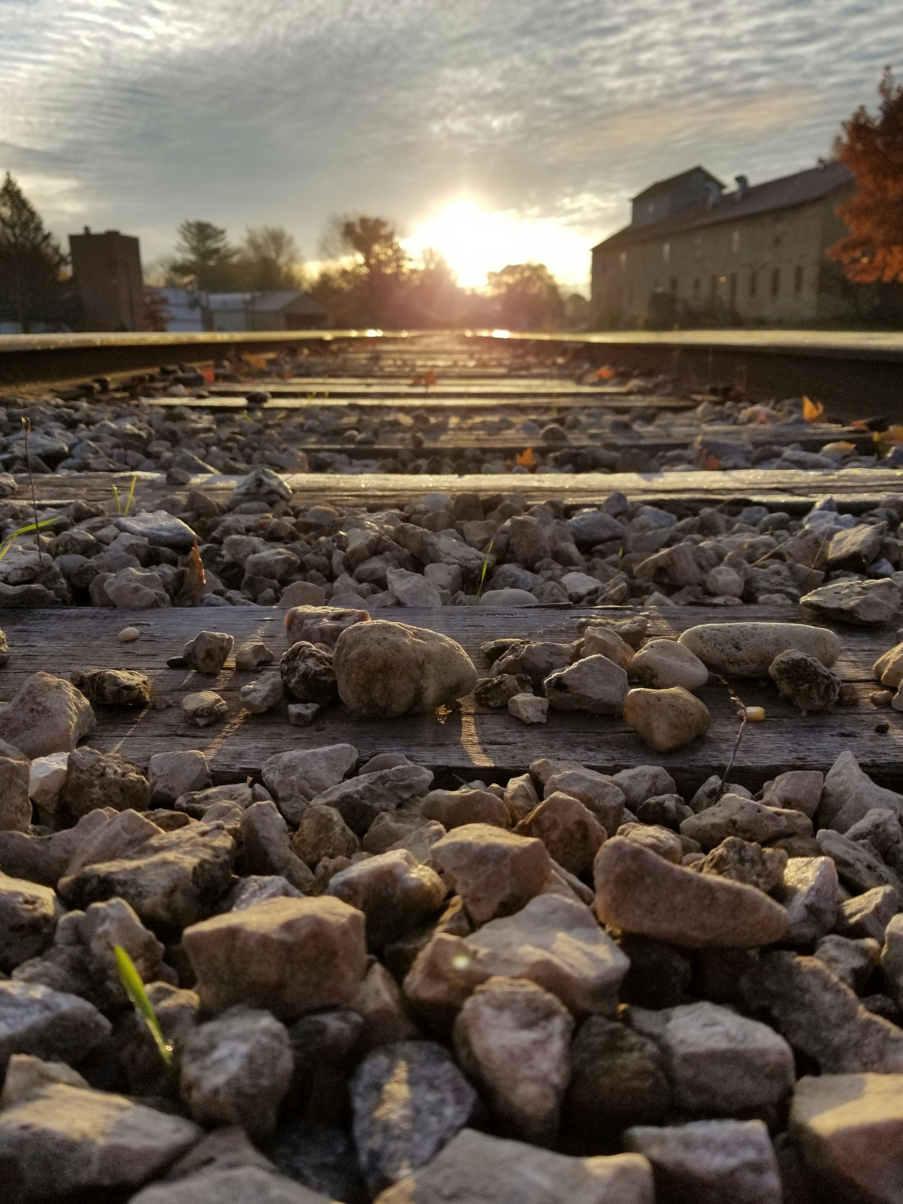 Rails at Dawn: Ground-Level Convergence Toward a Quiet Town