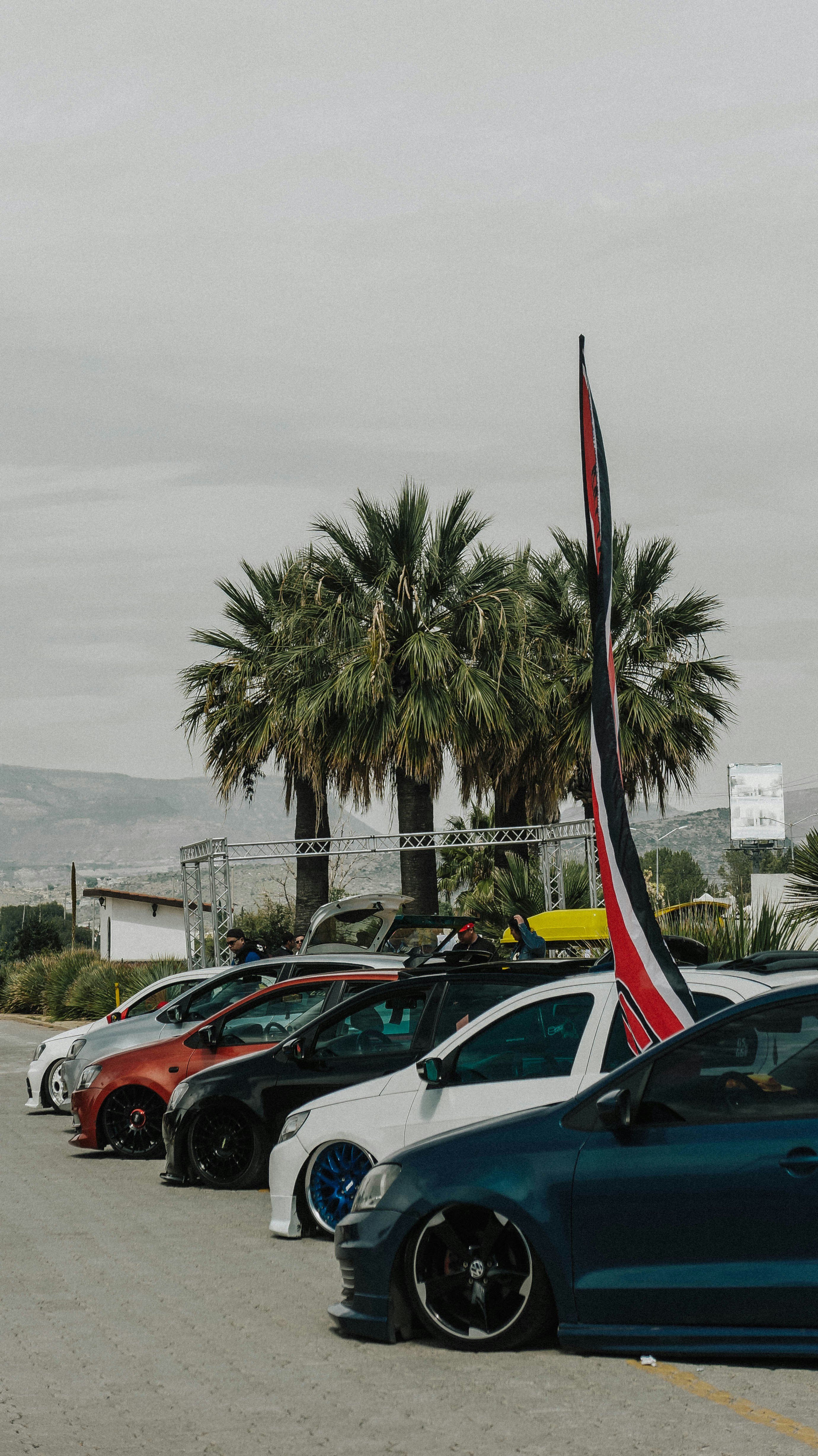 Lineup under Palms: A Car Meet with Color and Calm