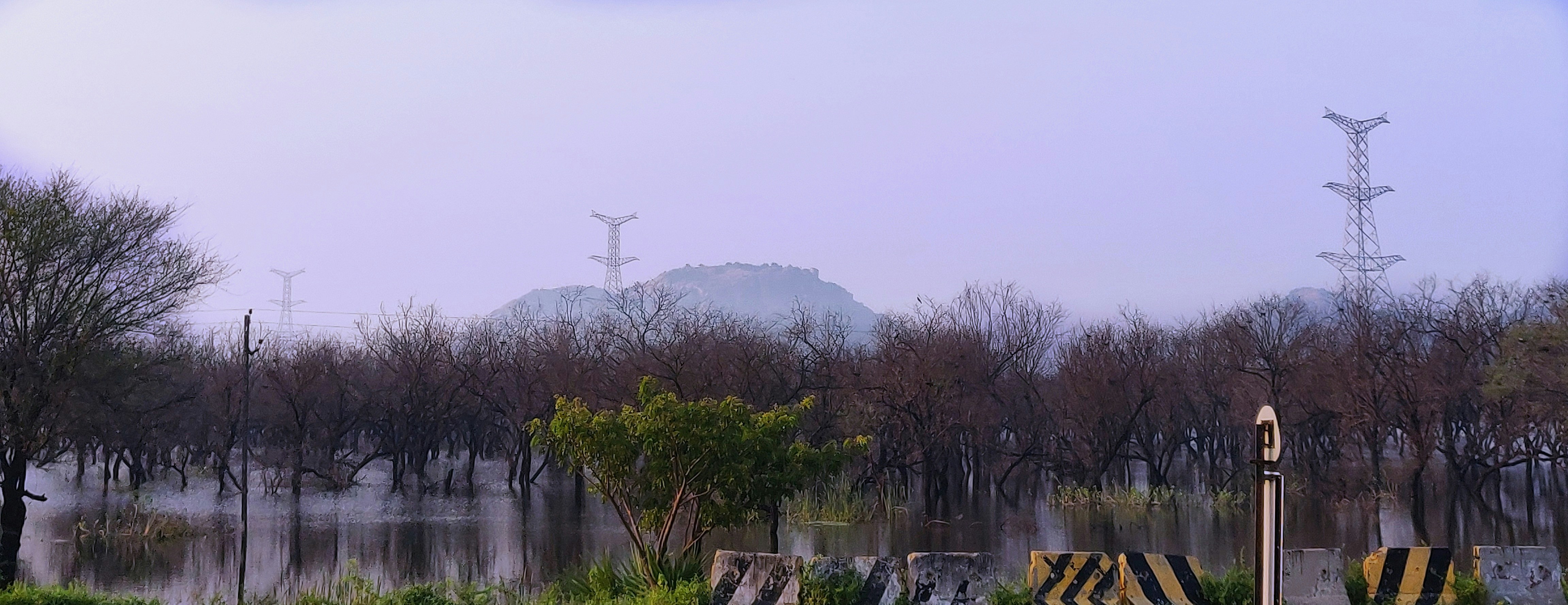 a body of water with trees and a tower in the background
