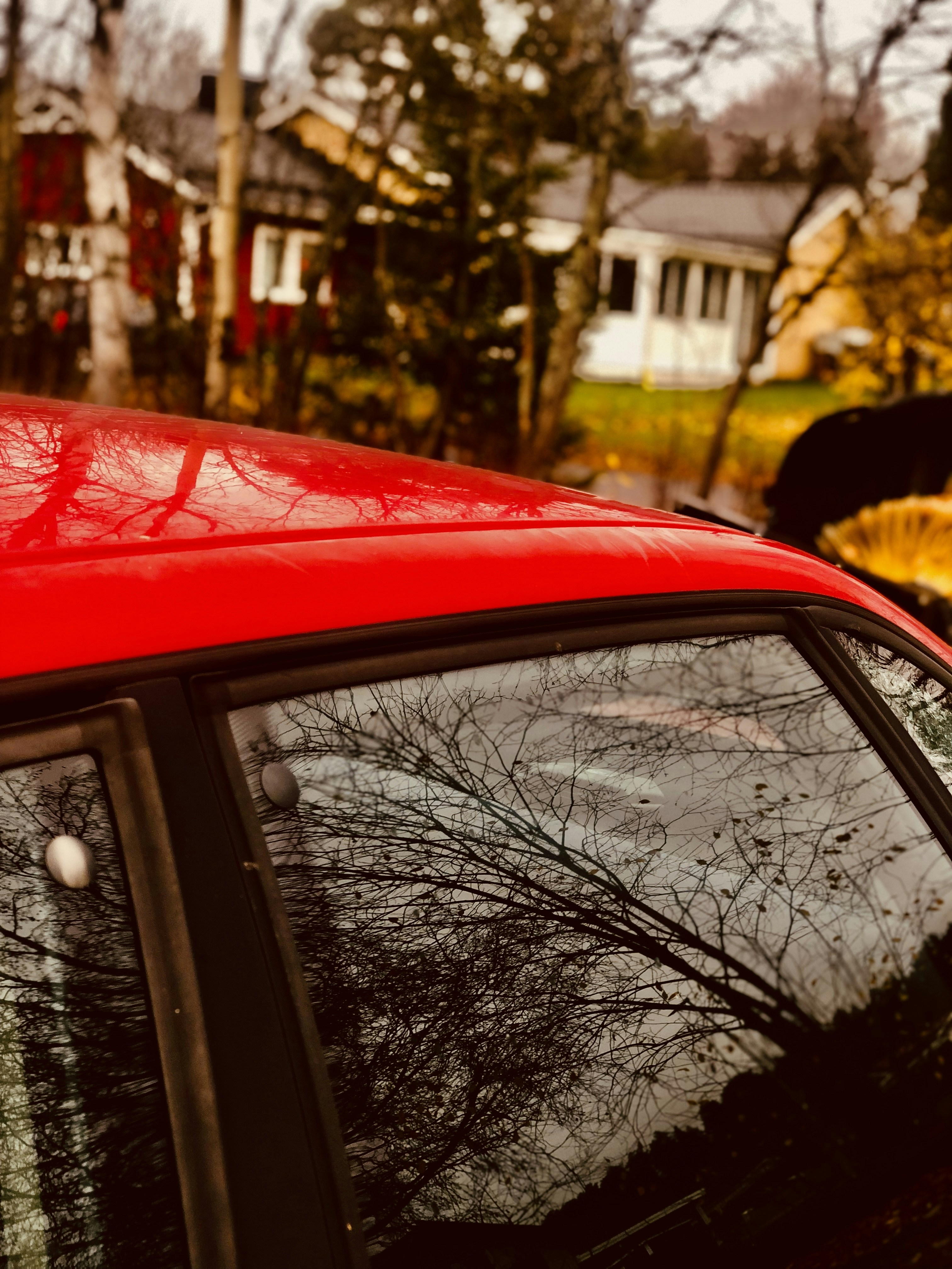 Crimson Gloss: Reflections of Winter Trees on a Car Roof
