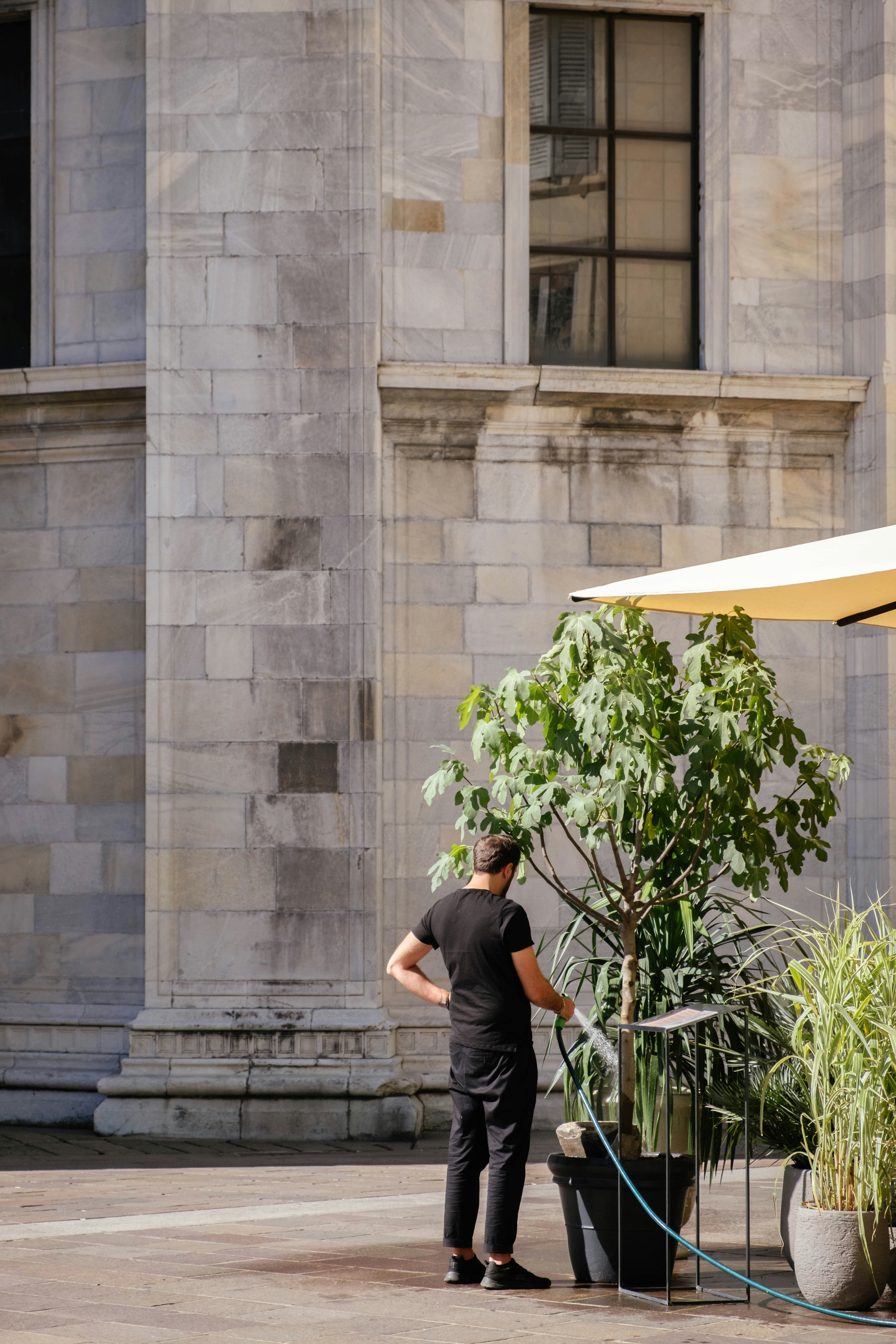 A man stands beside a lush green tree, gazing at a historic stone wall in an urban setting. The scene captures a blend of nature and architecture.