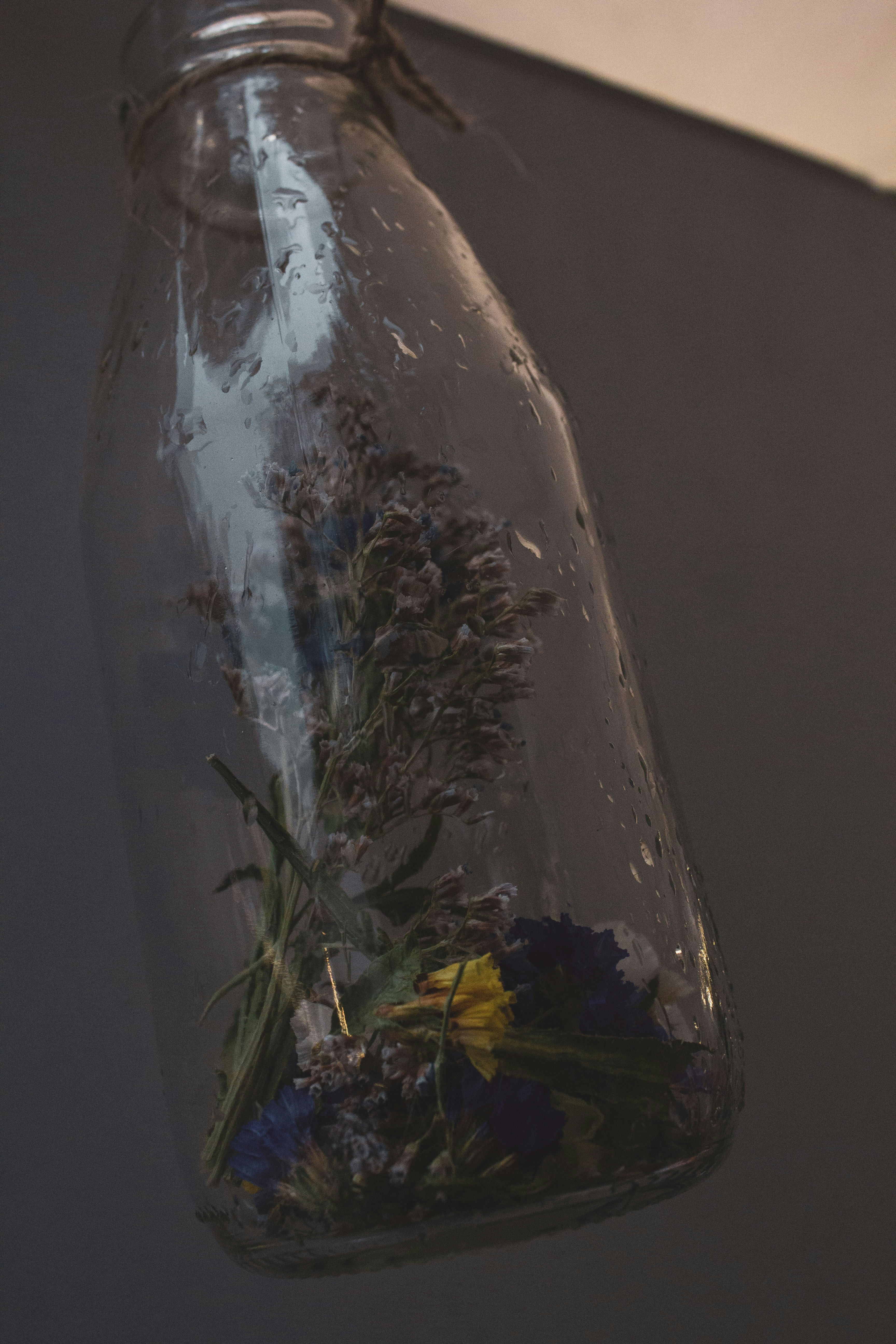 A glass vase with a plant inside photo – Free Person Image on Unsplash