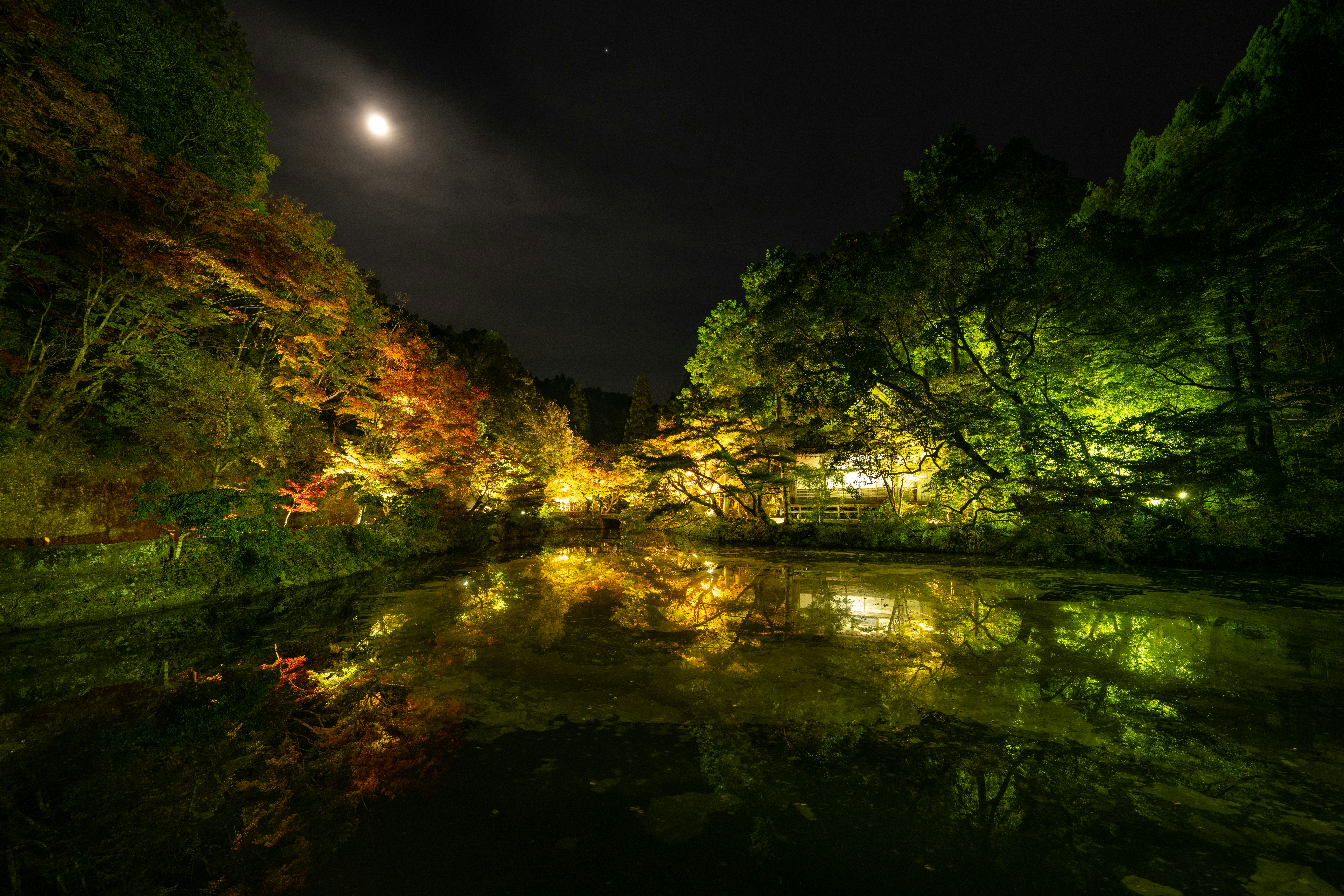 Illuminated trees mirror their vibrant hues in a tranquil pond under a full moon, creating a serene nighttime landscape.