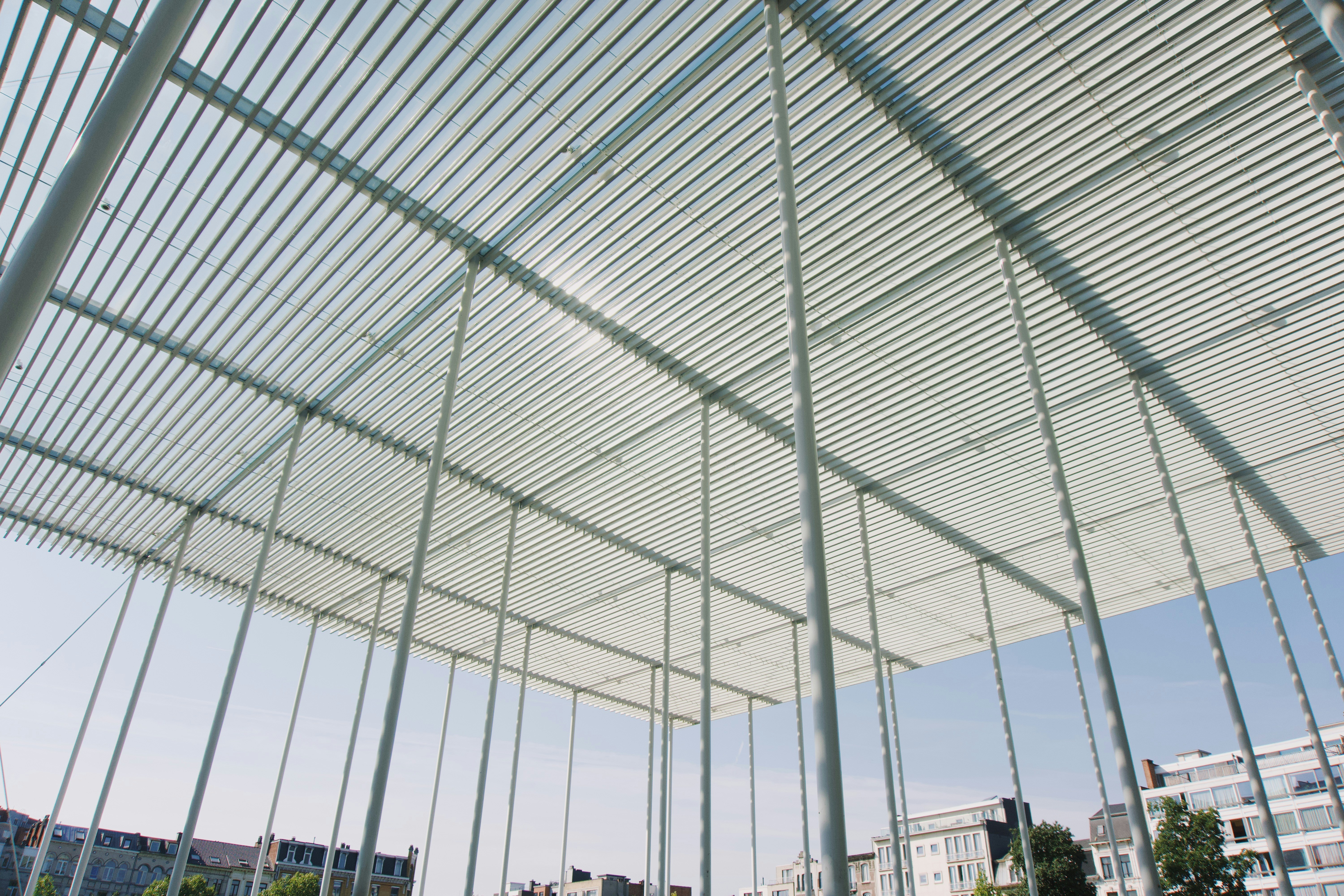Apex of Steel Grids: Sunlit Canopy Framing a Modern Skyline