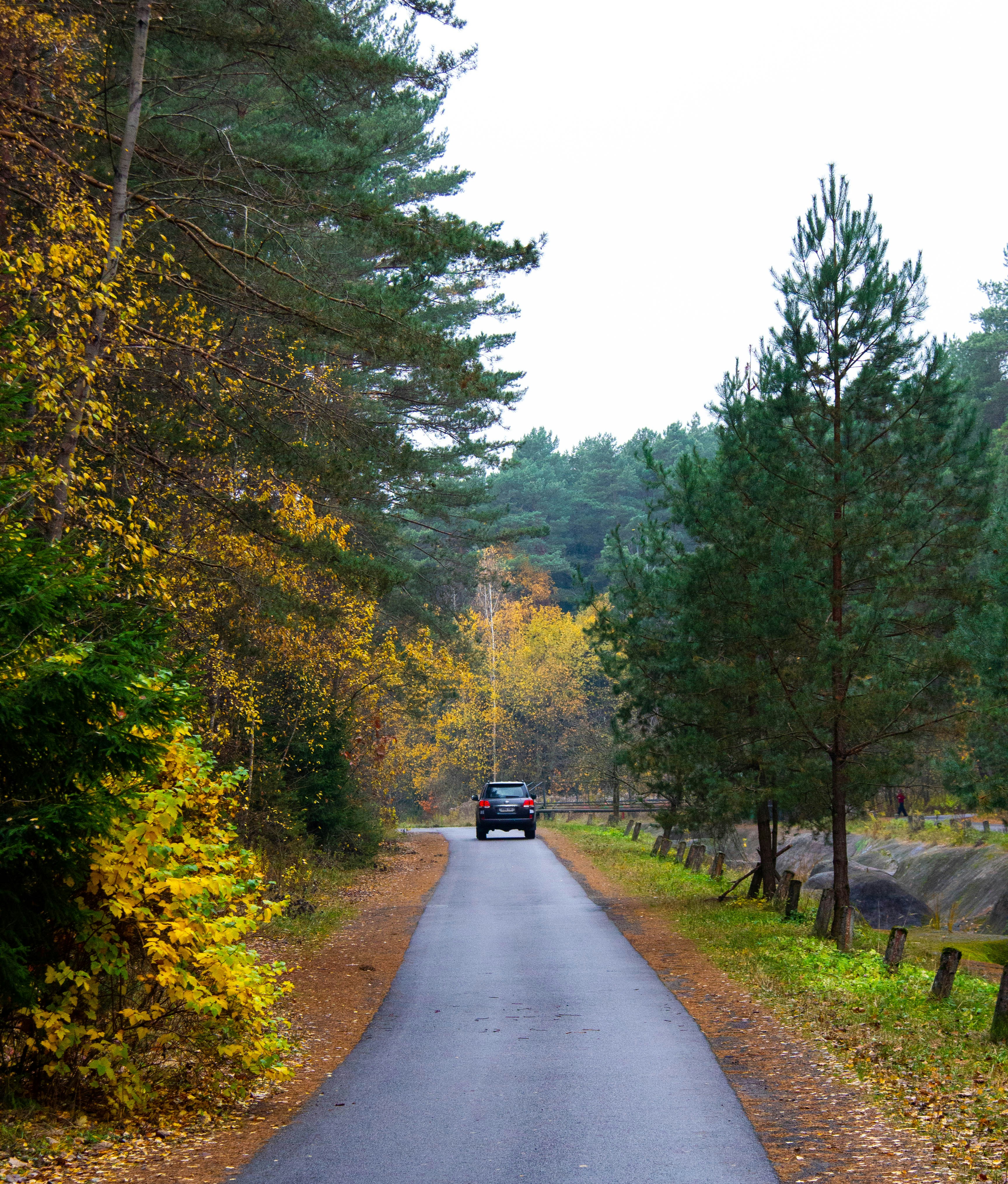a car driving down a road surrounded by trees