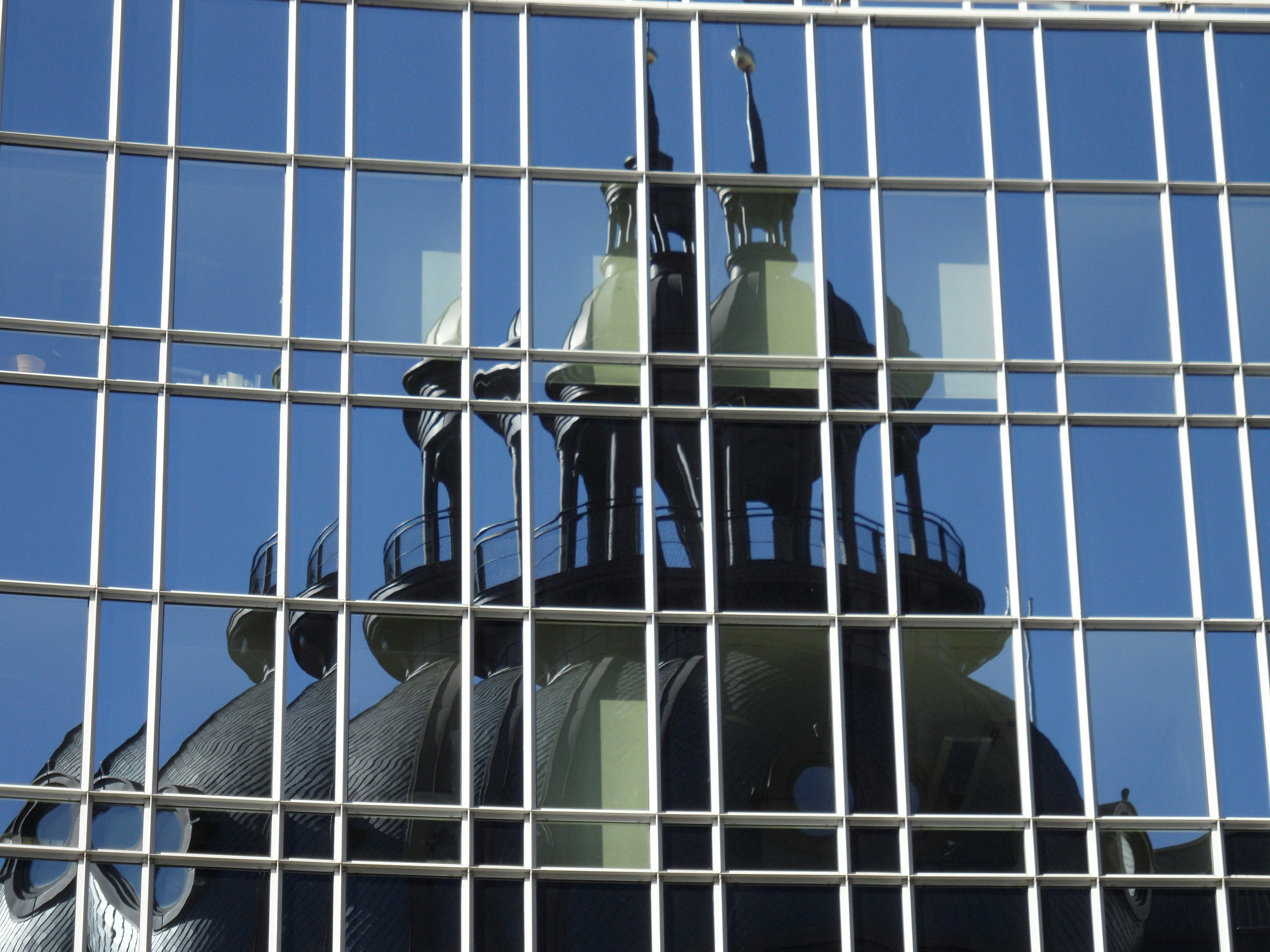 A group of birds in a cage photo – Free Reflexes Image on Unsplash