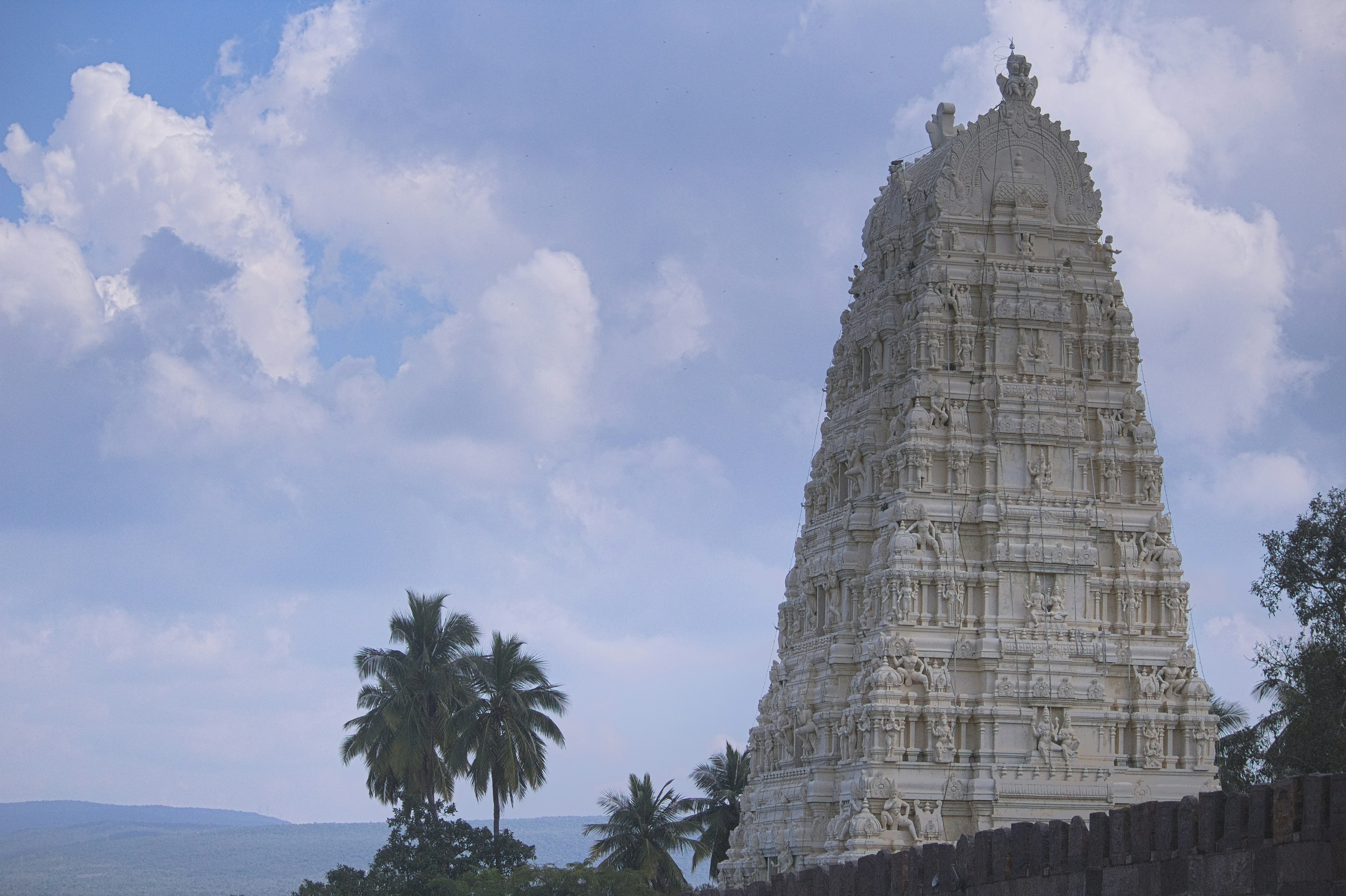 Gopuram on the Coast: A Sacred Spire Among Palms