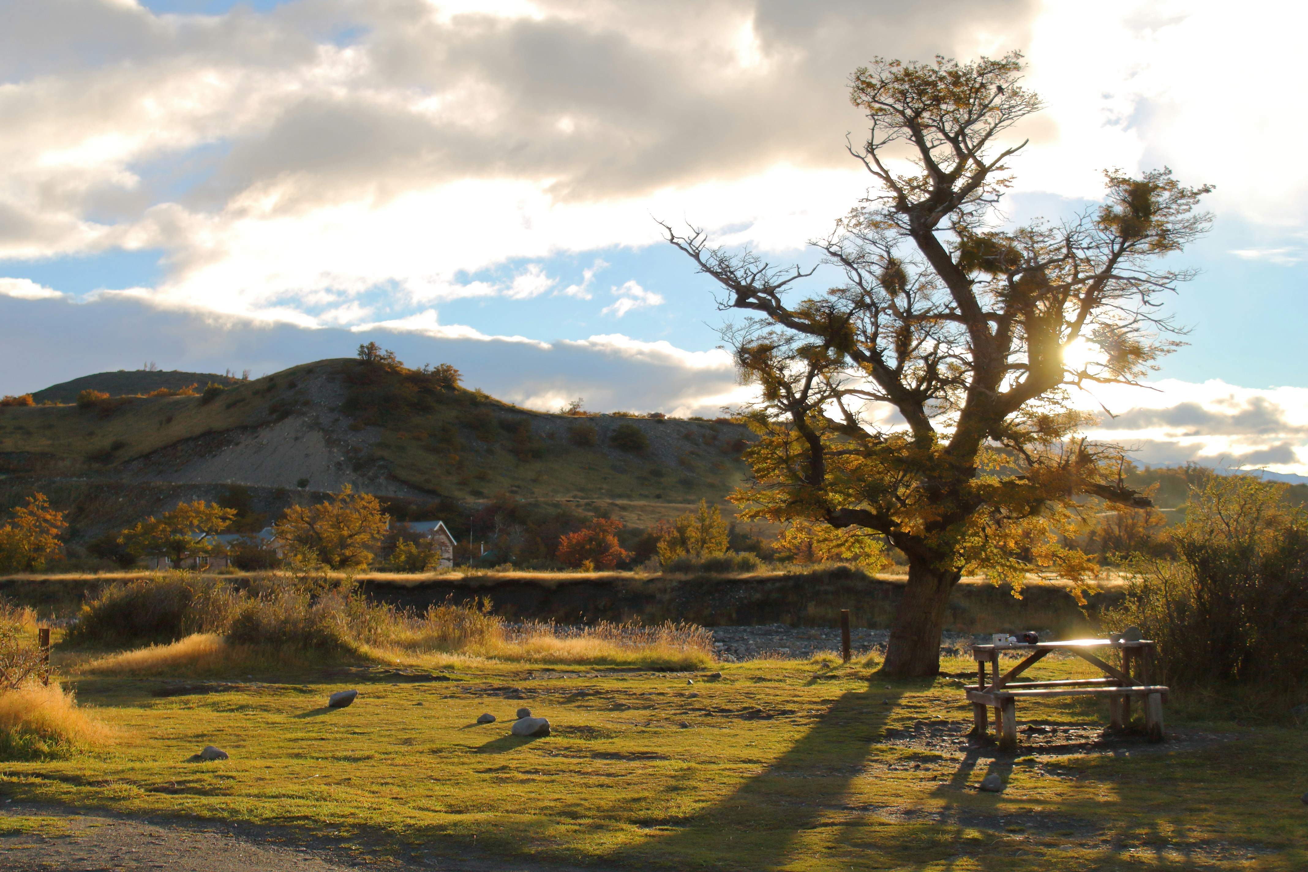 Autumn Light Beside the Old Orchard