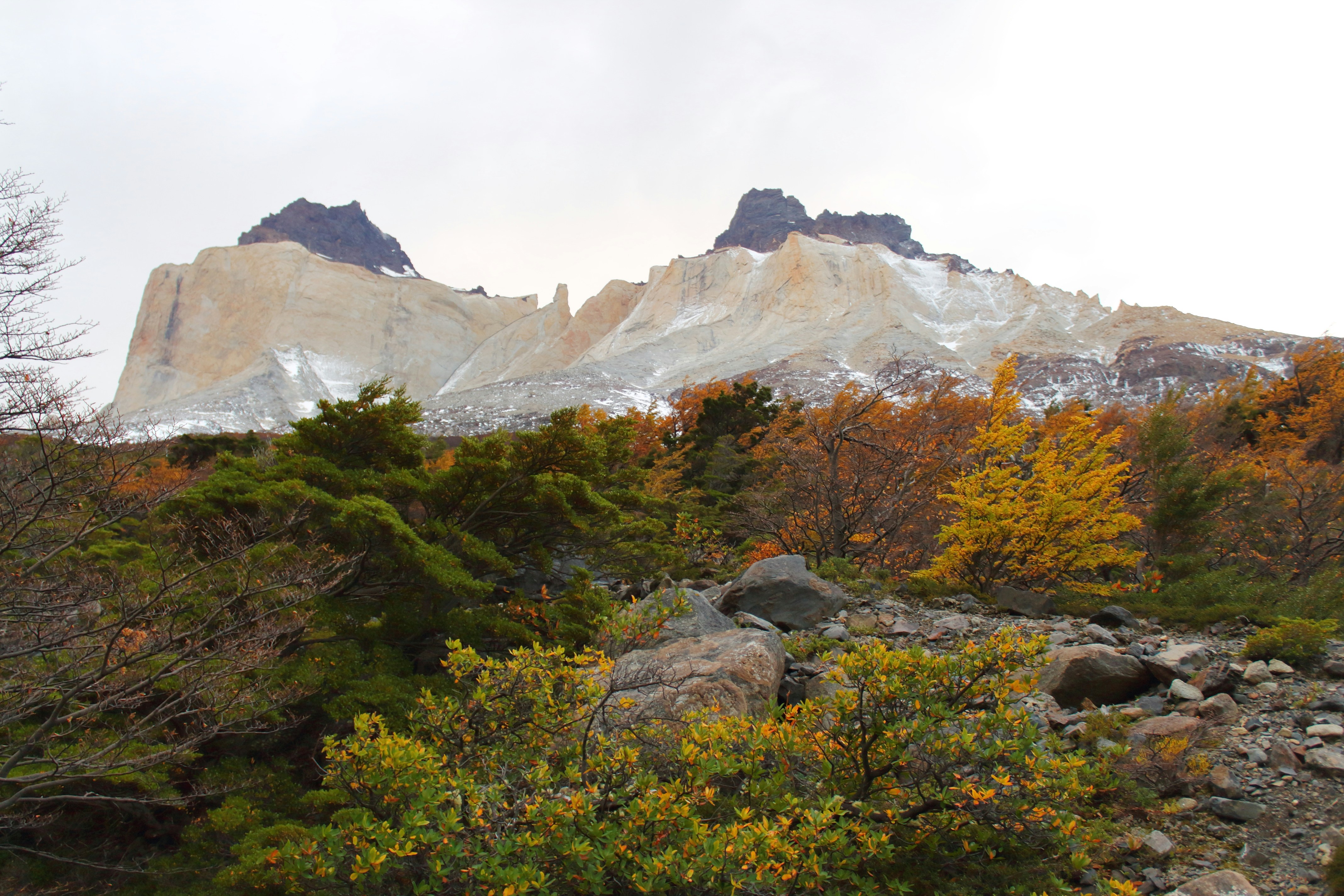 a rocky area with trees and a mountain in the background