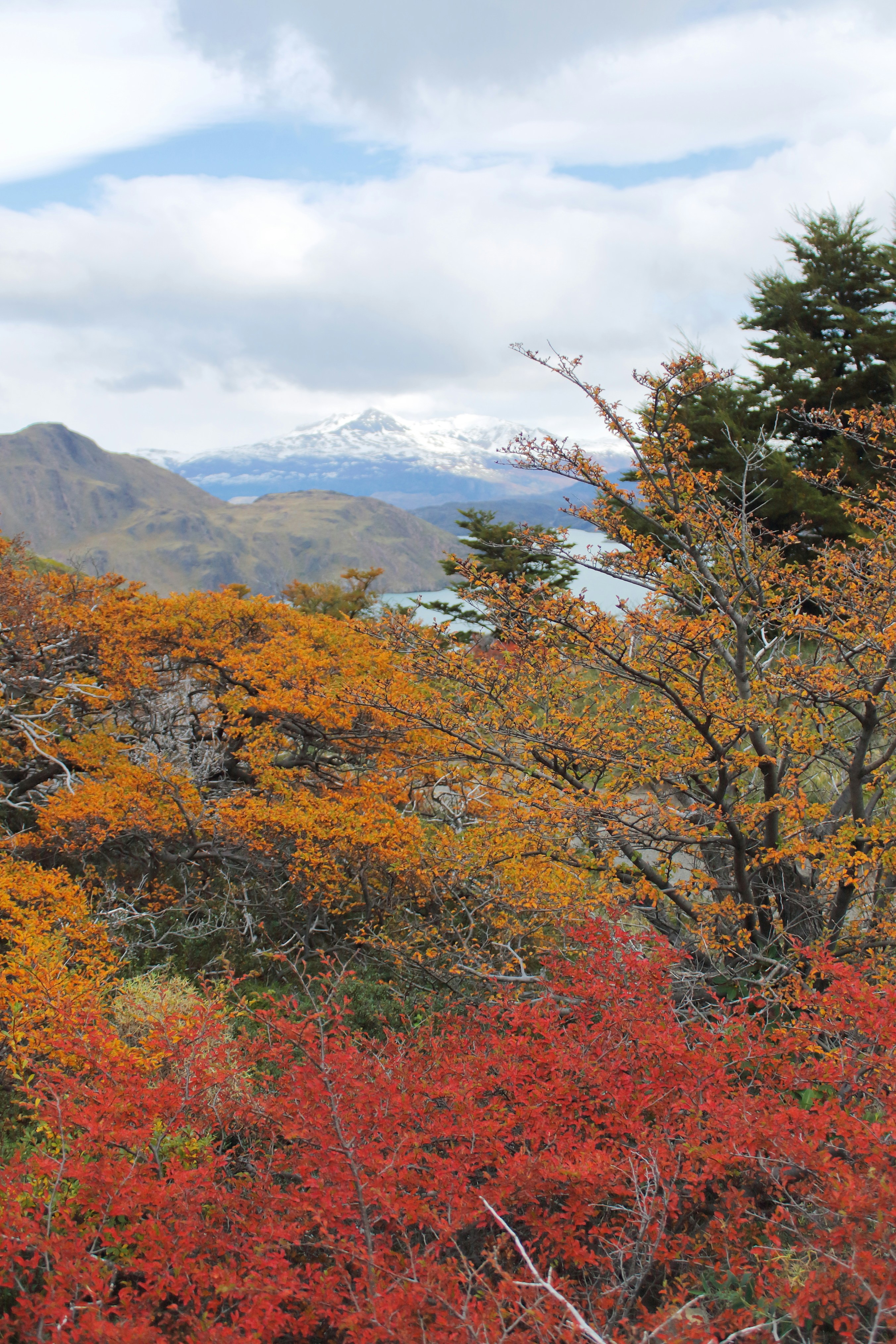 Autumn Peaks: Snow-Capped Summit Above Fiery Foliage