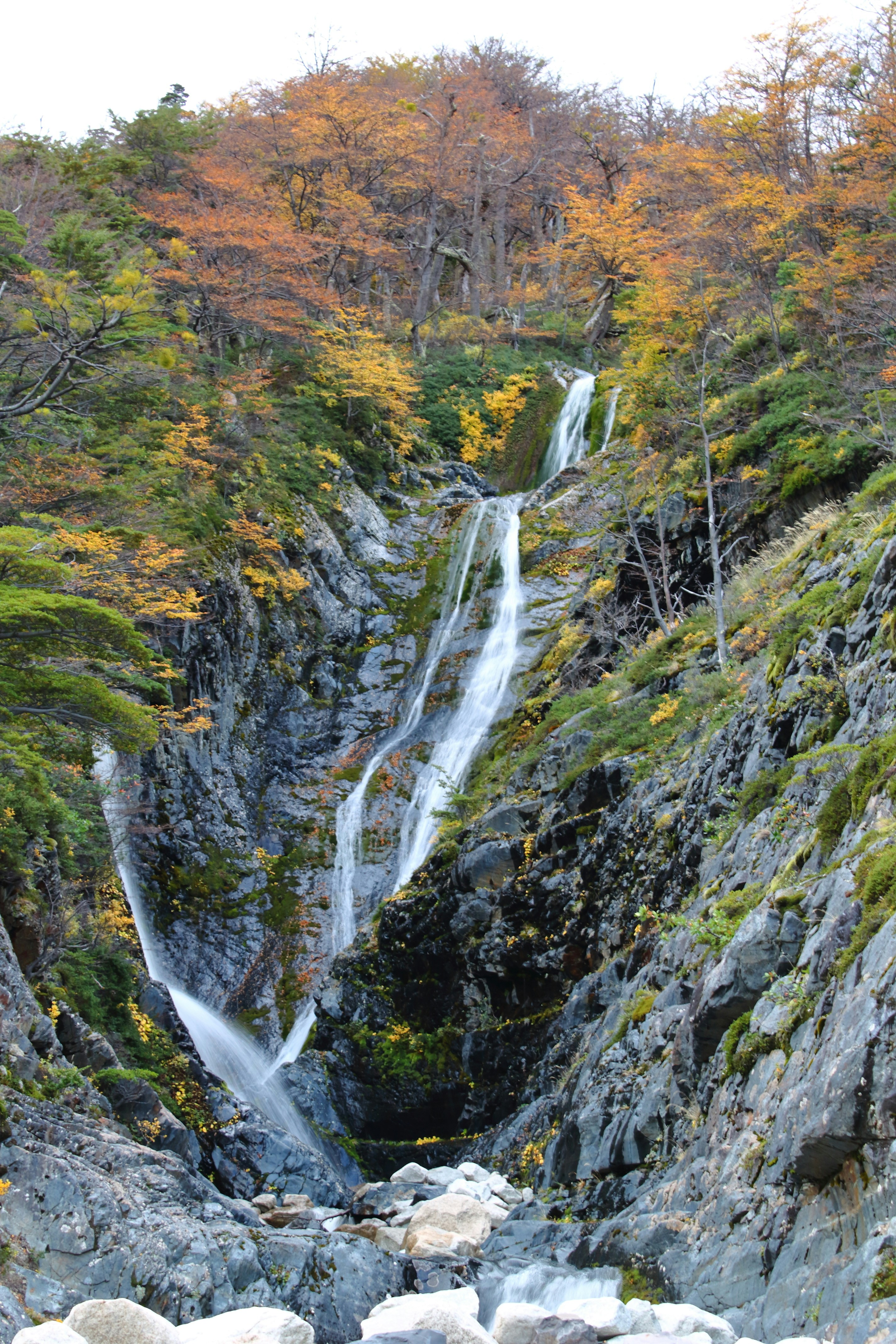 Photo by Karla Robinson with Canon EOS 1100D