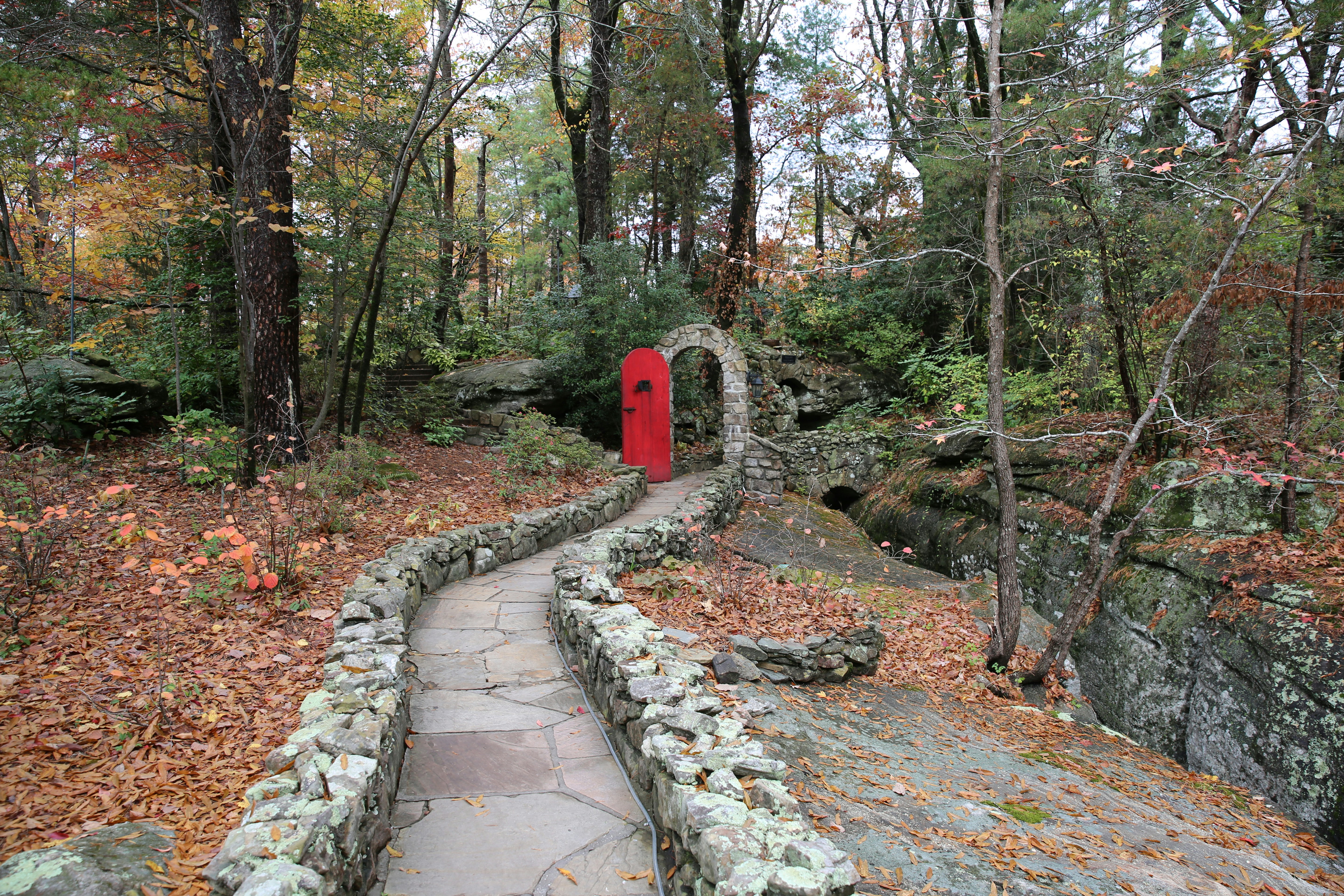 Un chemin de pierre à travers une forêt photo – Photo Jardins de la ...