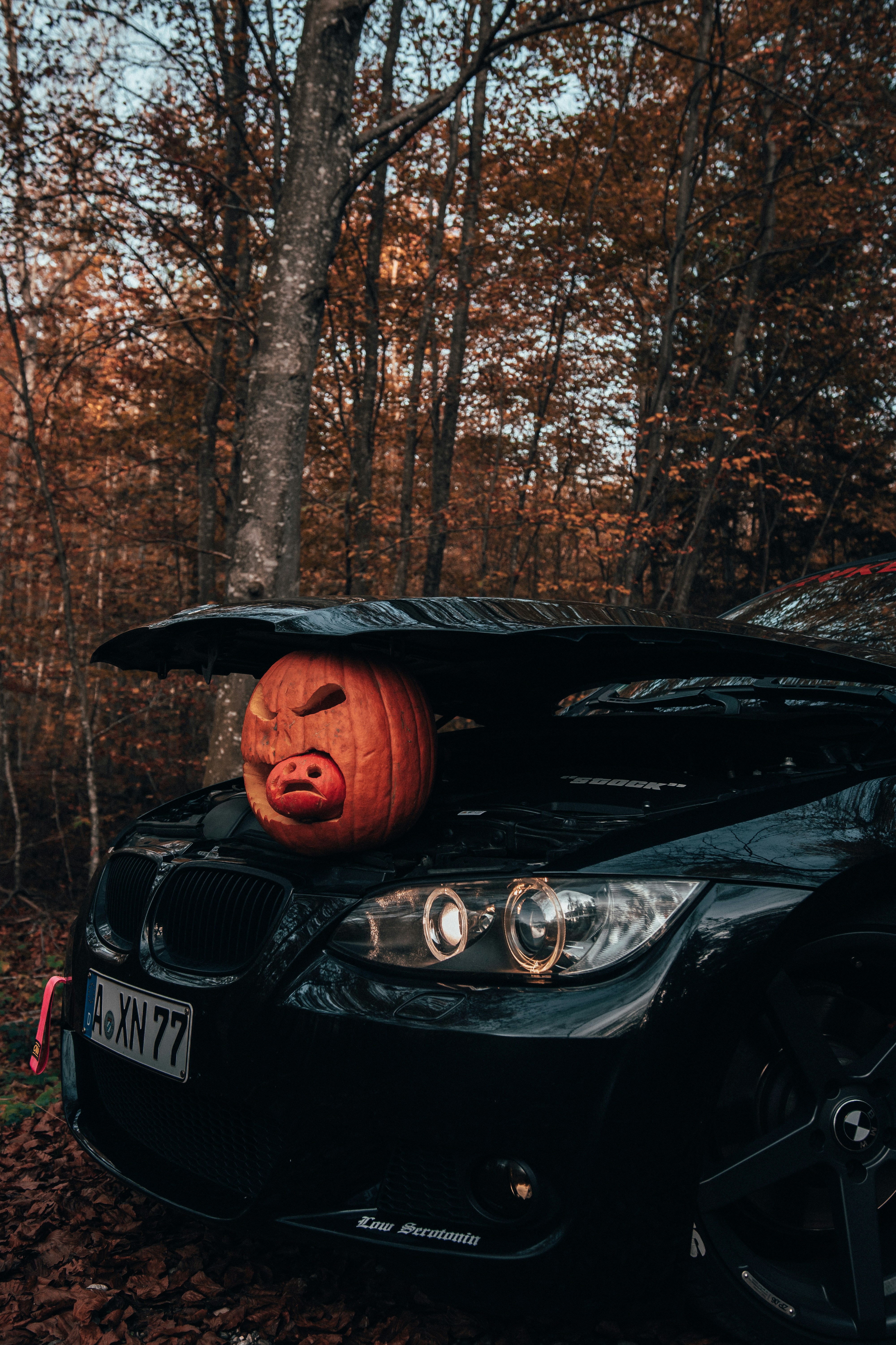 Pumpkin Sentinel on a Hooded BMW in Autumn's Quiet Forest