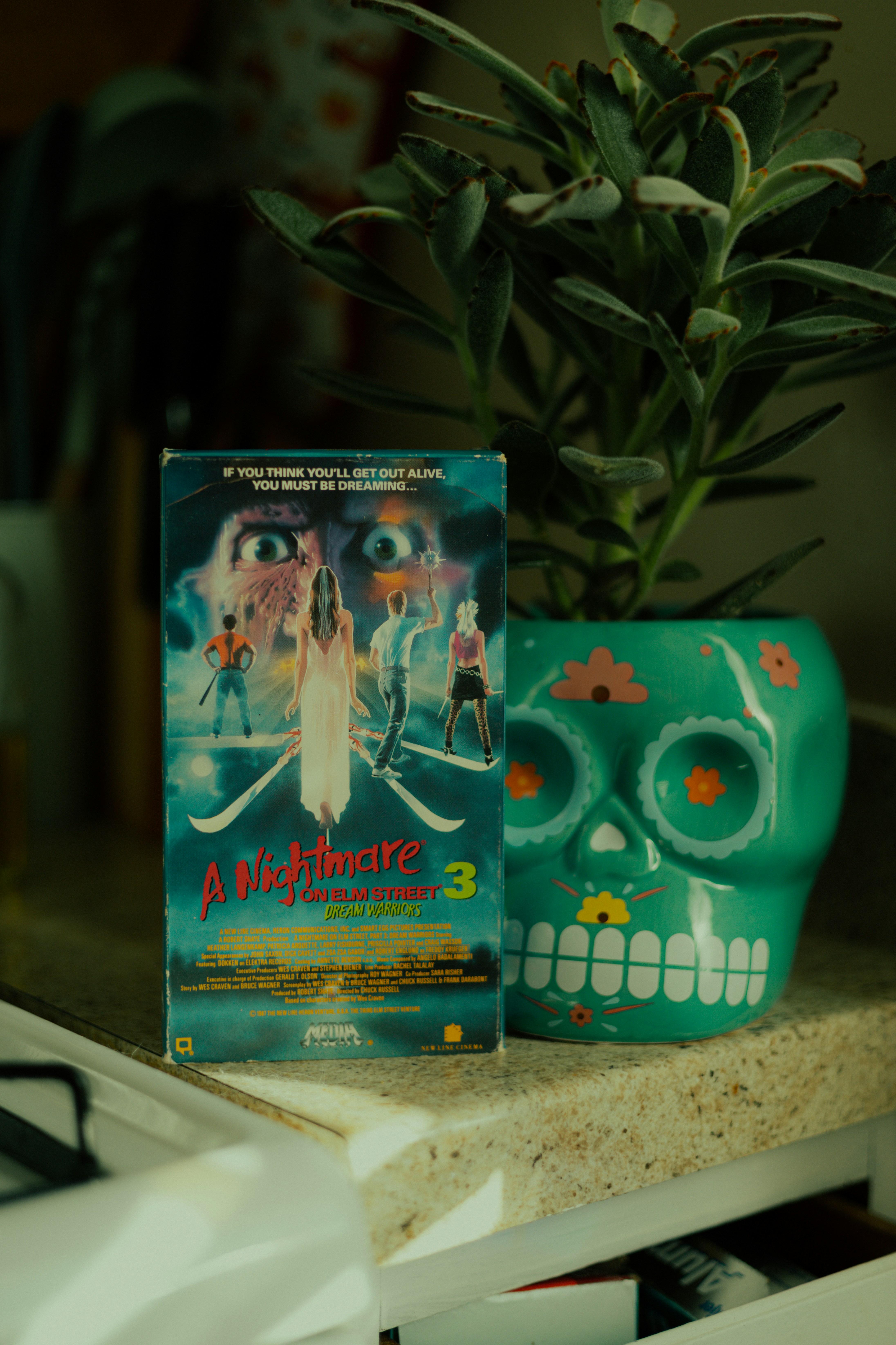 Photo by Bruno Guerrero with Canon EOS R