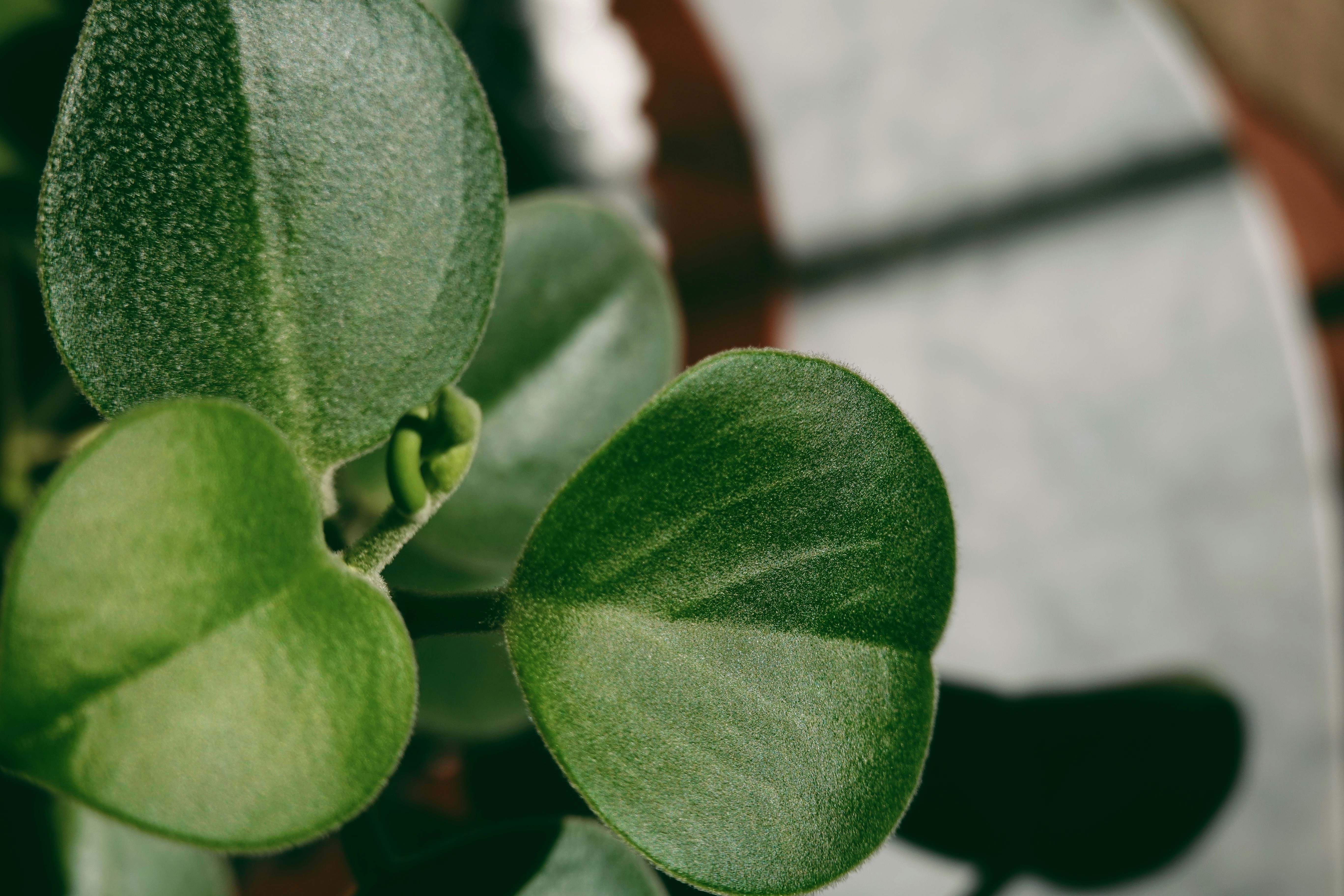 Calming Background Pictures | Download Free Images on Unsplash