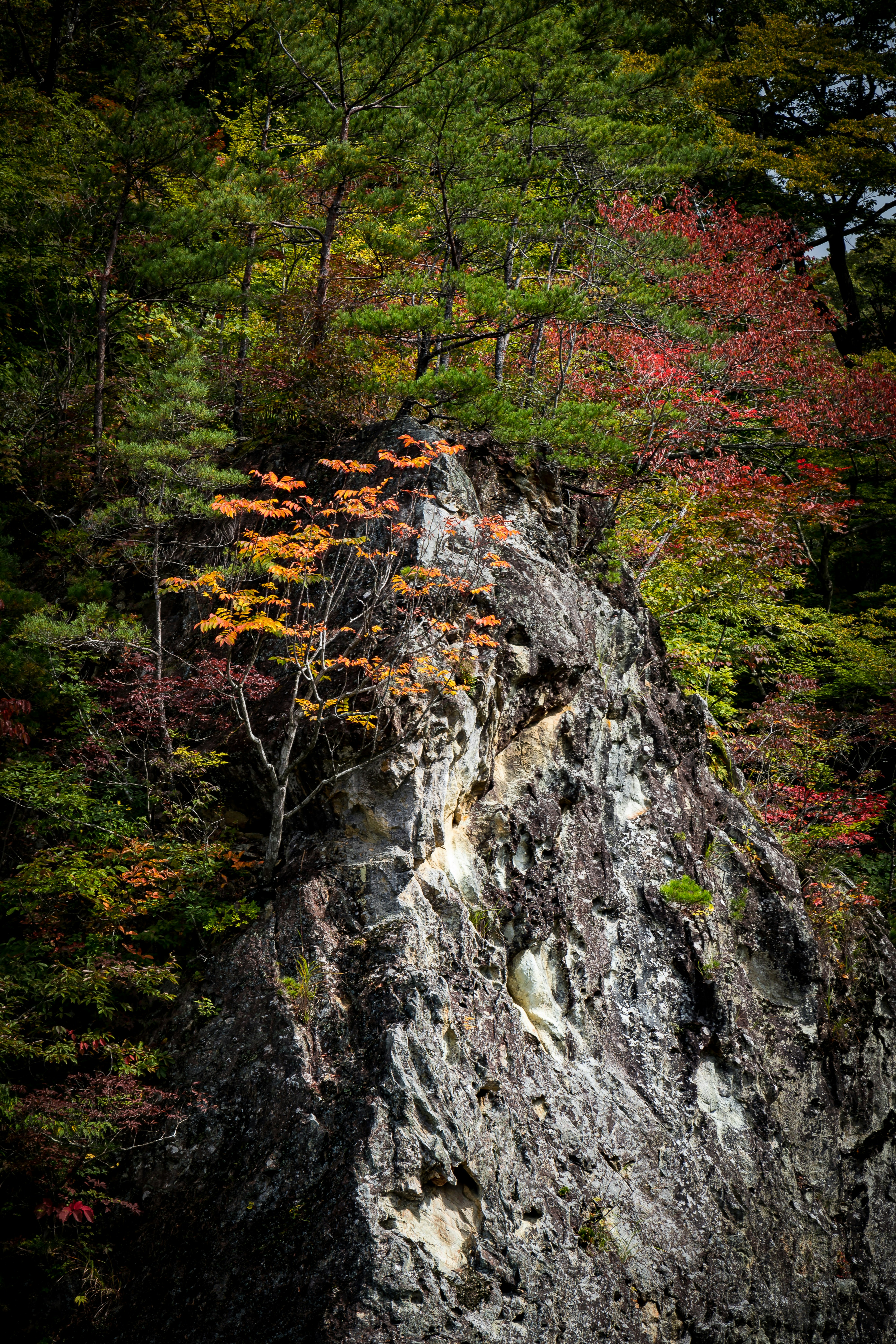 Granite Cliff Adorned in Autumn's Palette