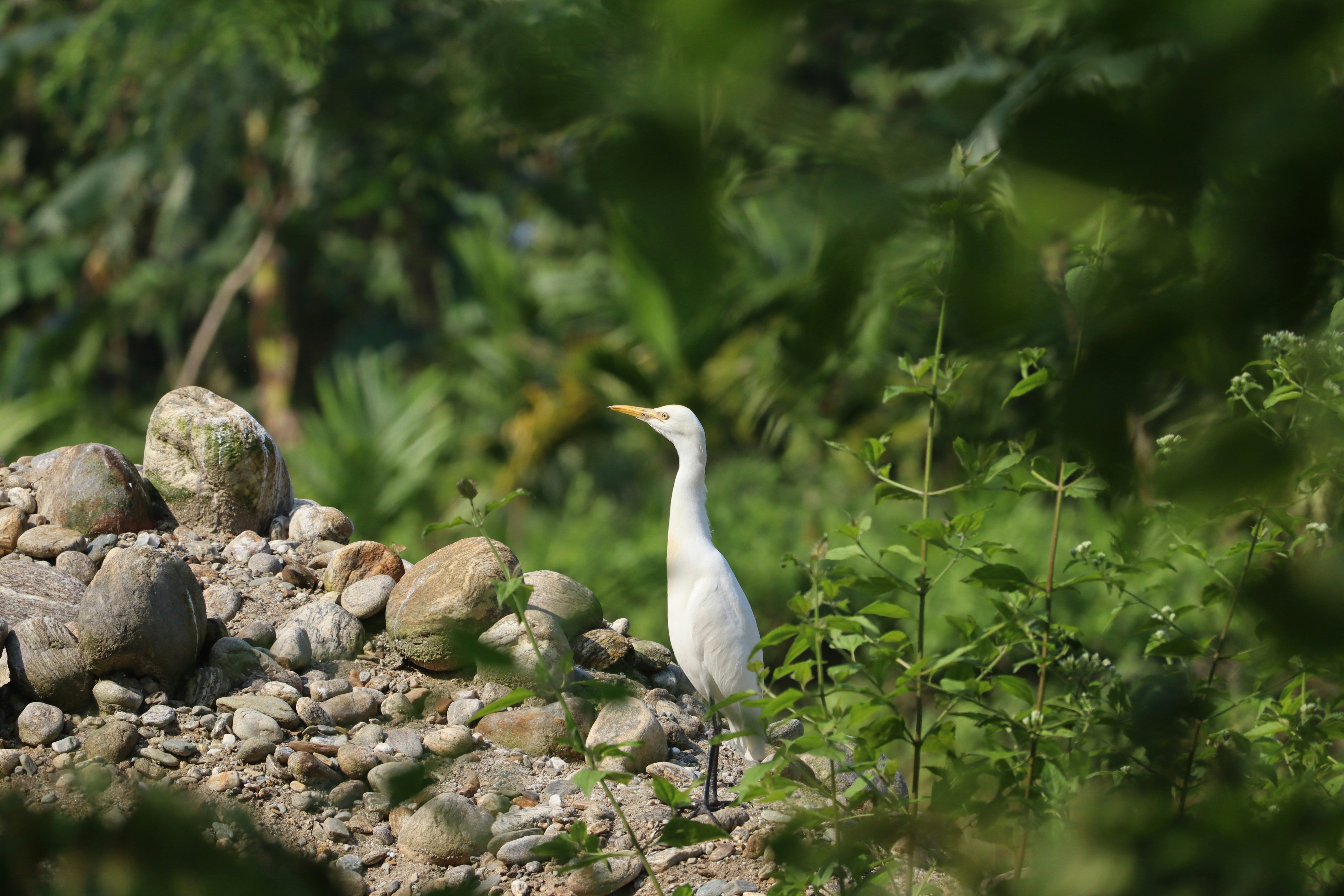 Photo by Soonam Wooeser with Canon EOS 200D Mark II