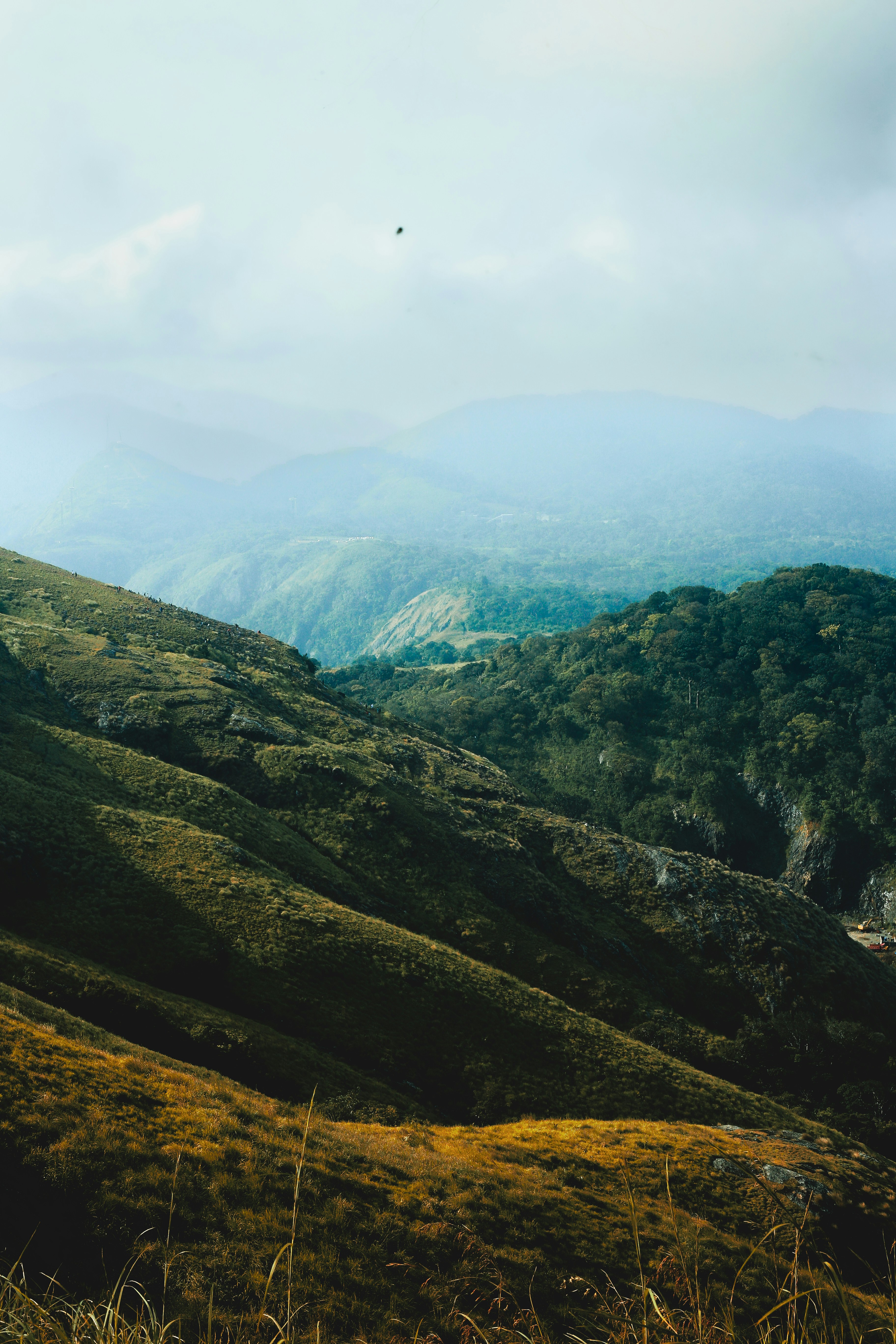 Foto Un valle con árboles y montañas al fondo – Imagen Bosque gratis en ...