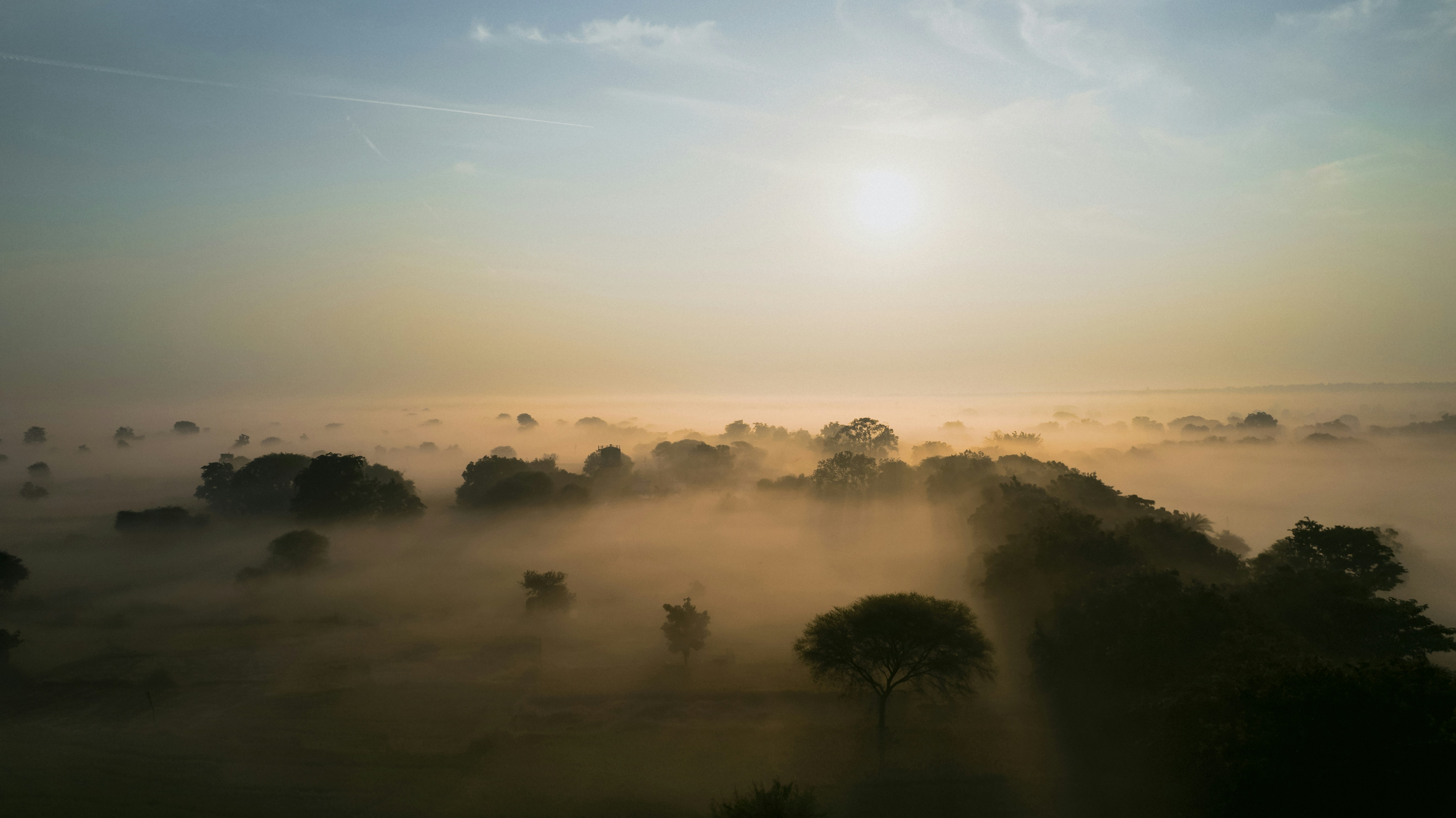 A foggy landscape with trees photo – Free Dhamtari Image on Unsplash