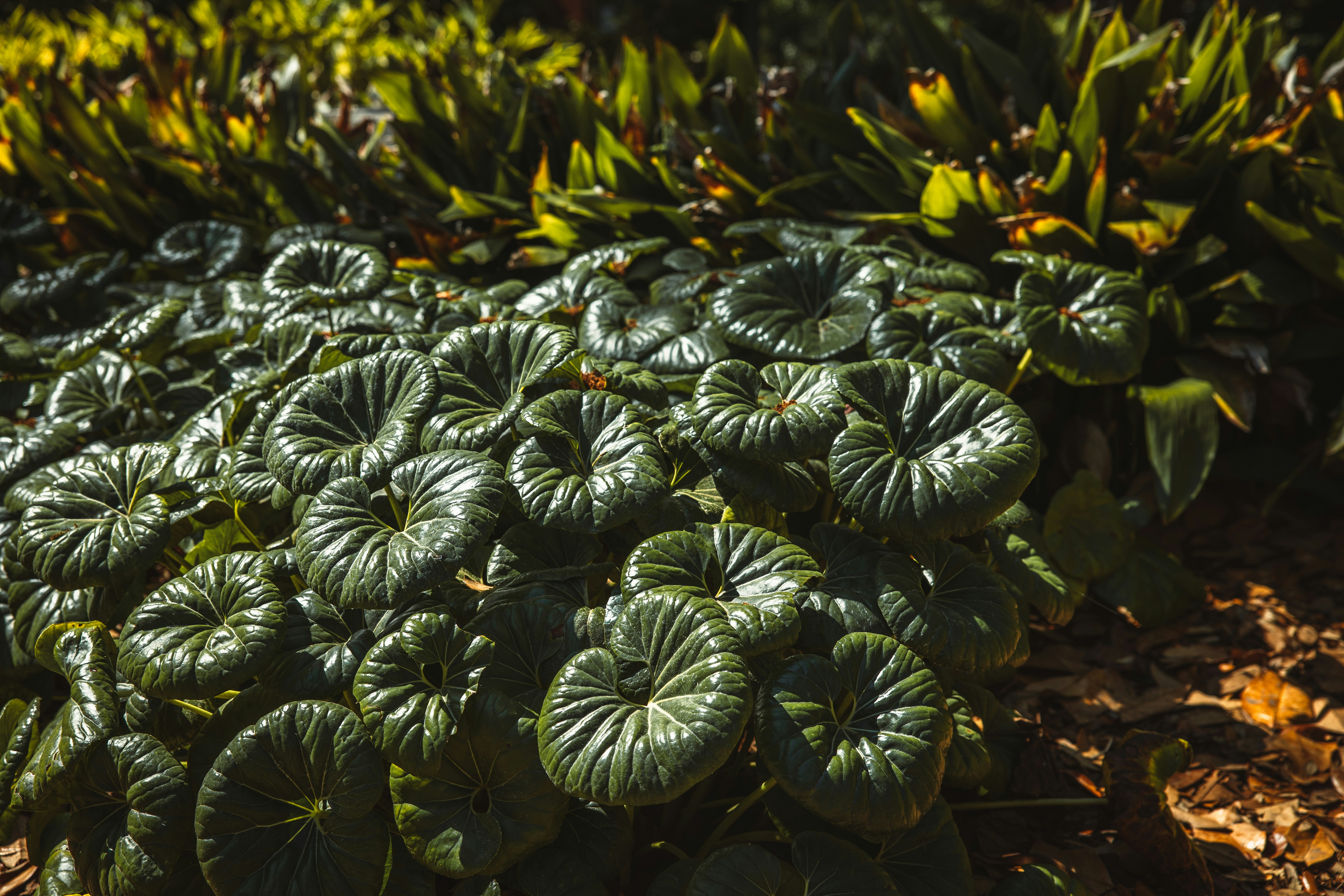 Photo by Diane Picchiottino with Canon EOS R6