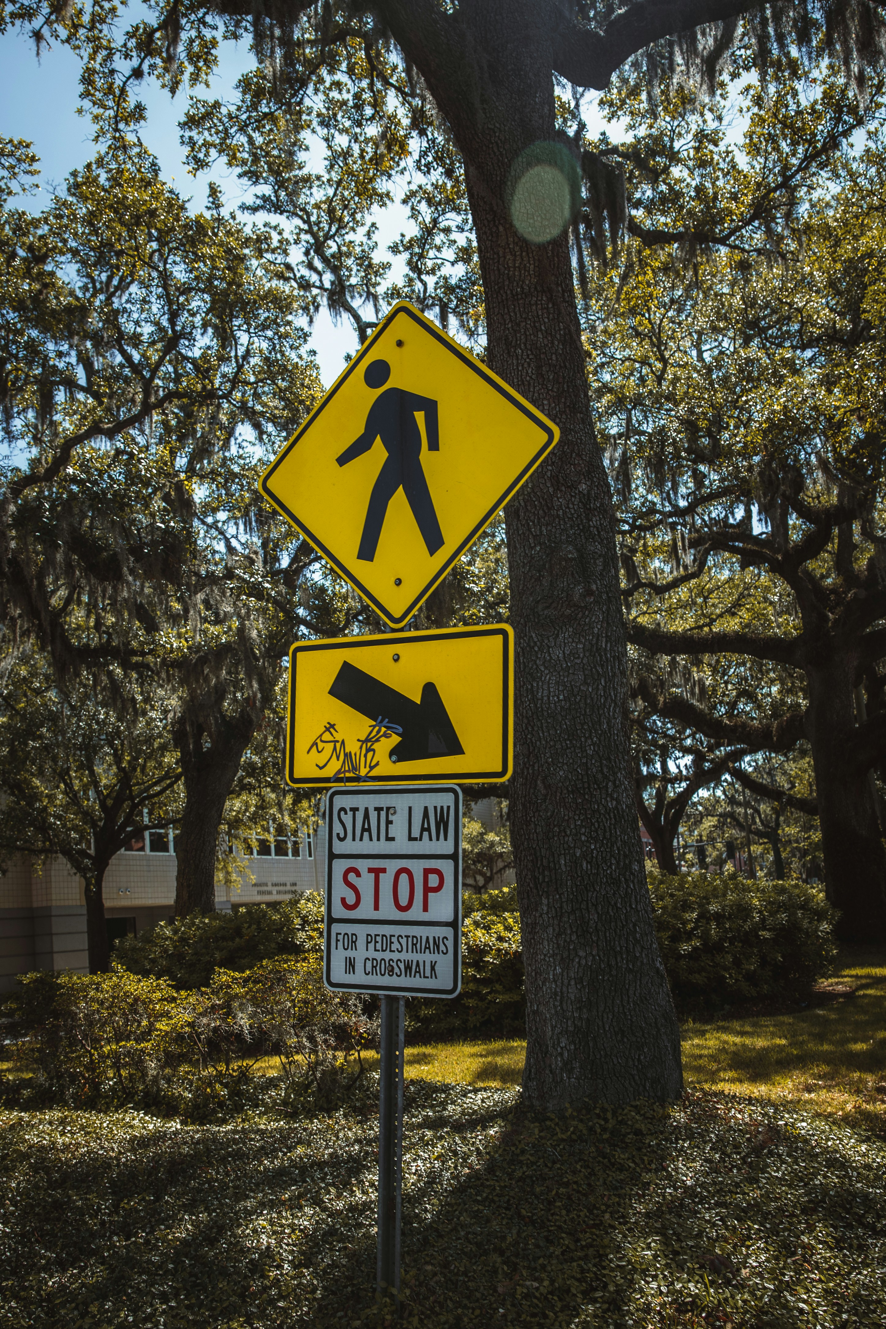 Photo by Diane Picchiottino with Canon EOS R6