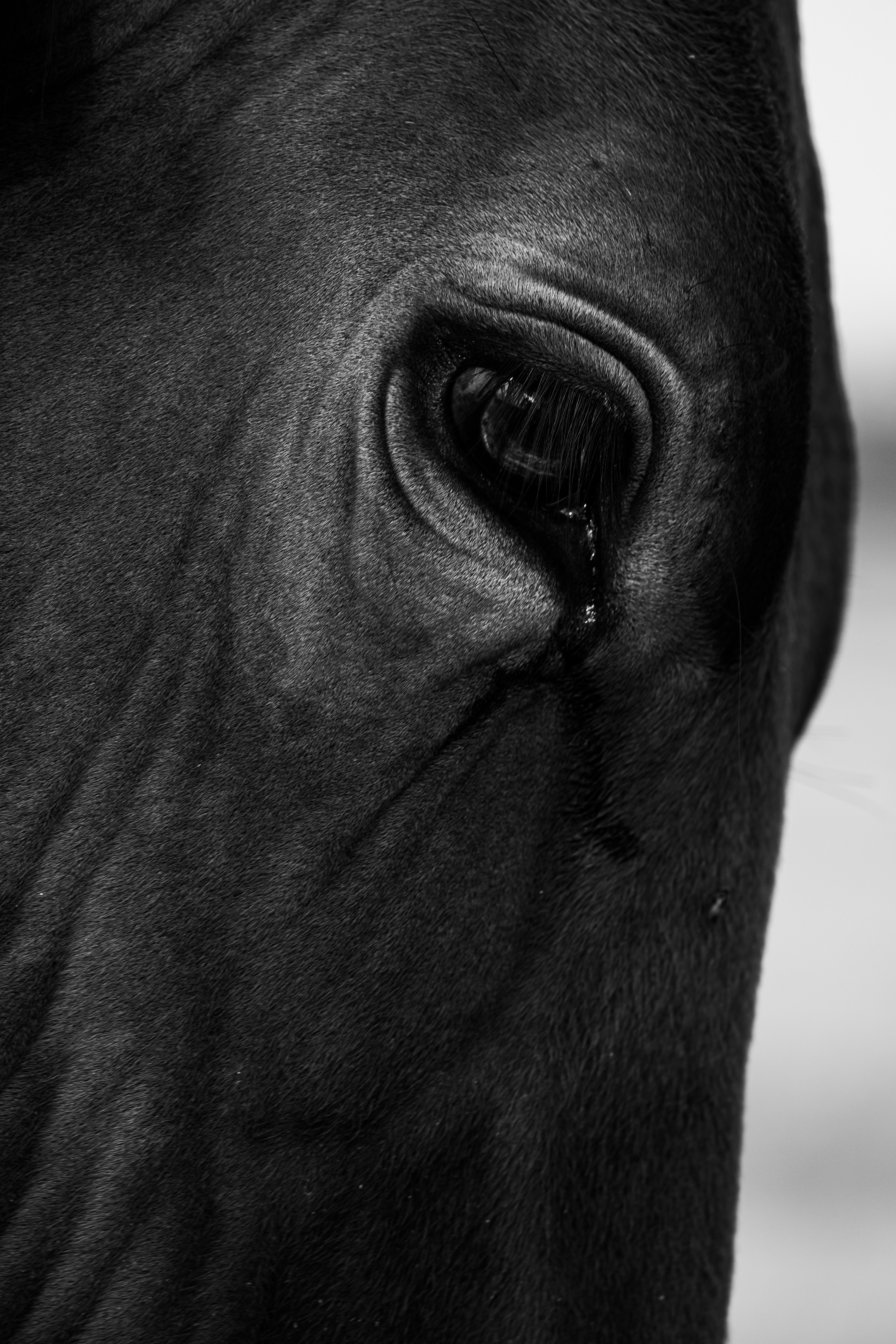 A close up of a person's eye photo – Free Man Image on Unsplash