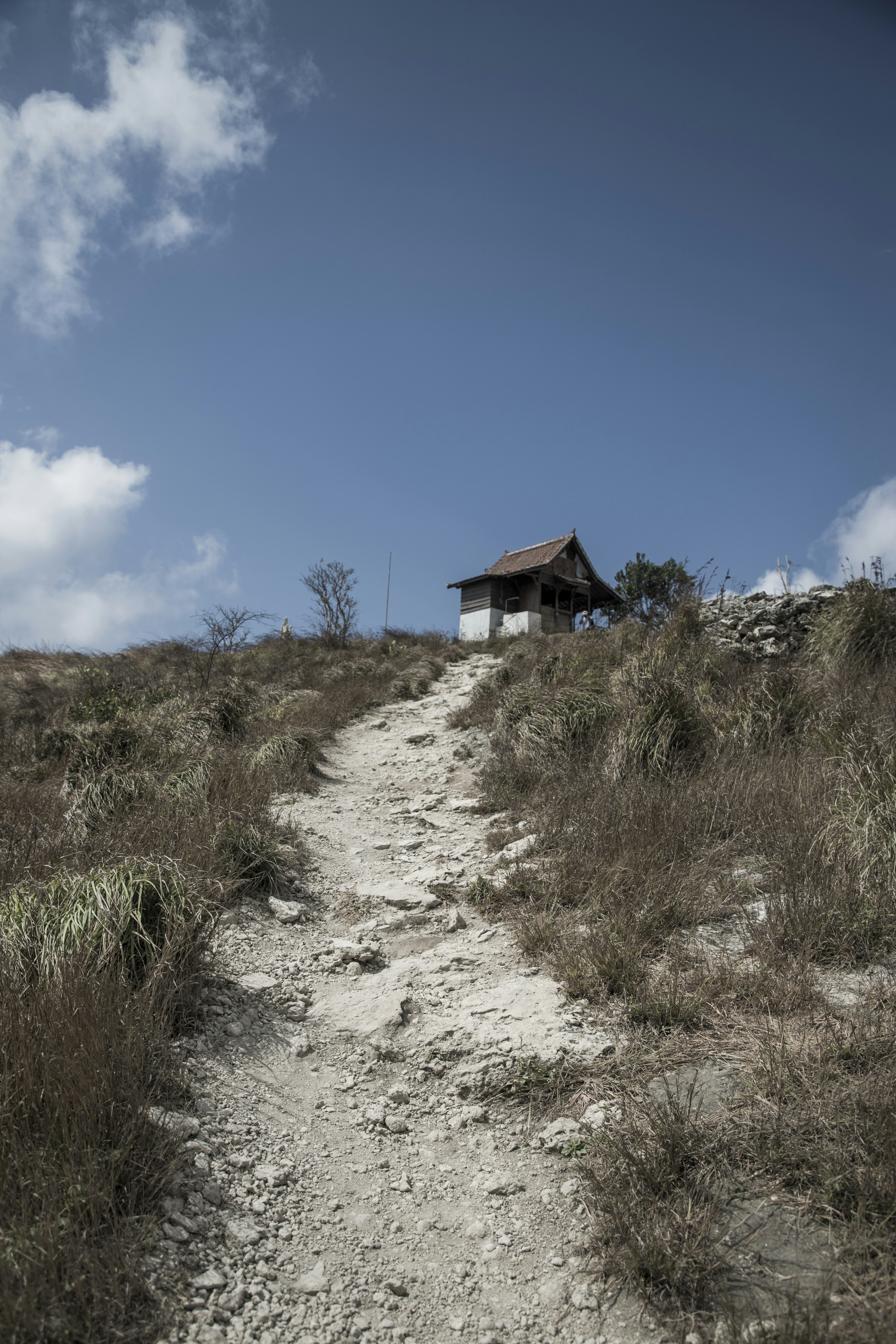 Trail to a Weathered Cabin on a Wind-Worn Hill