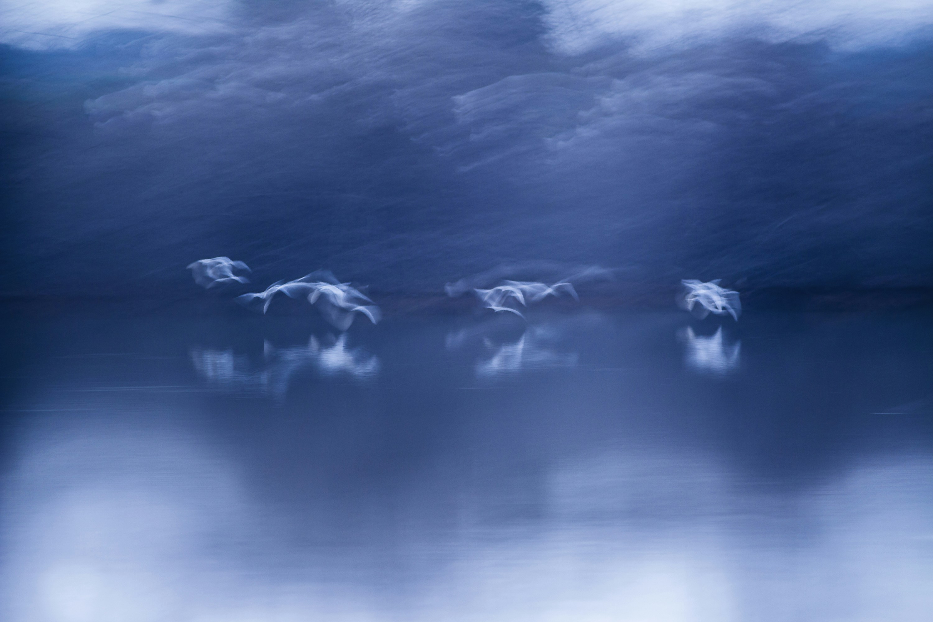 Blue Echoes Over Still Water