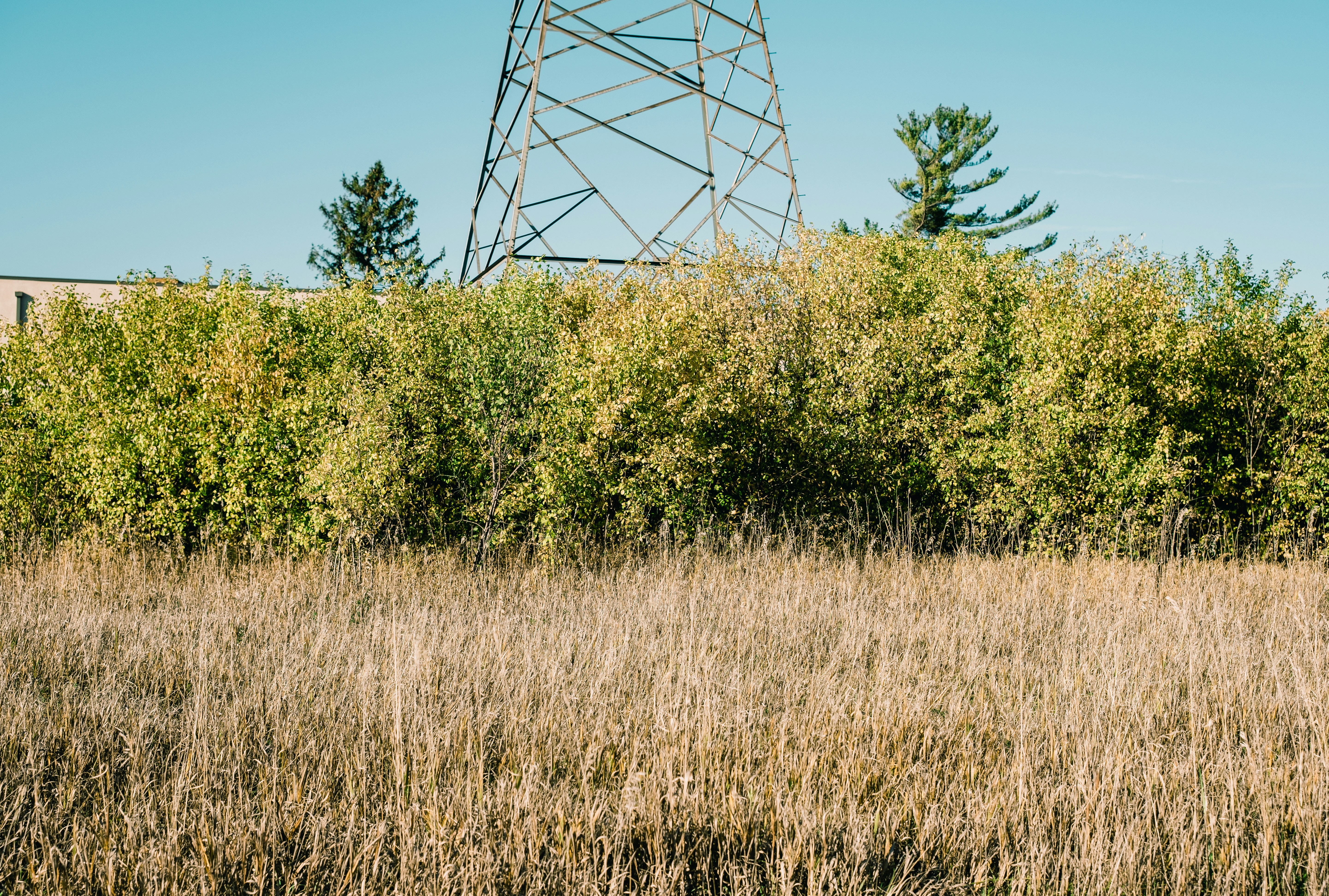 Lattice Sentinel Over a Quiet Prairie