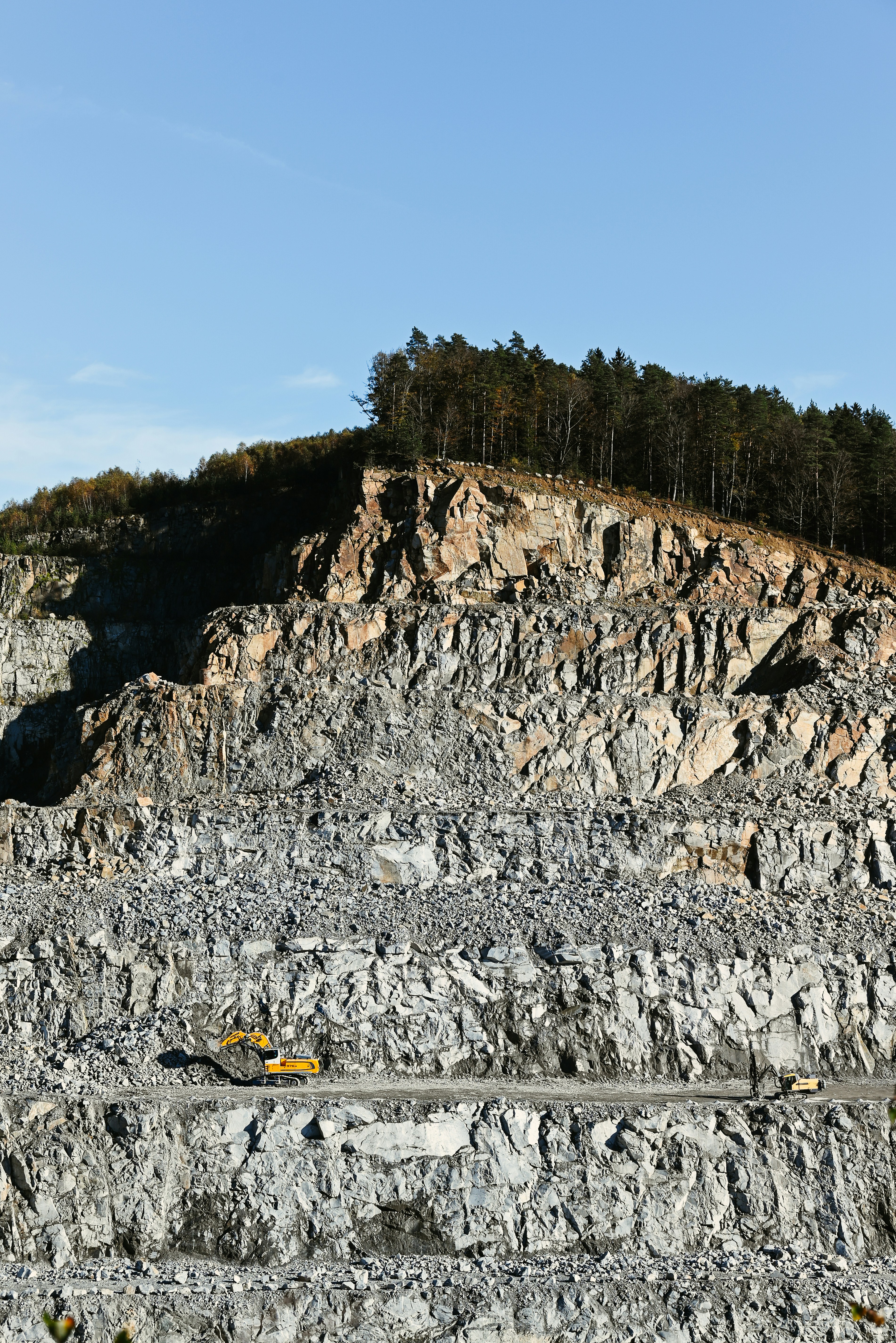 Foto Un gran acantilado rocoso con árboles – Imagen Roca gratis en Unsplash