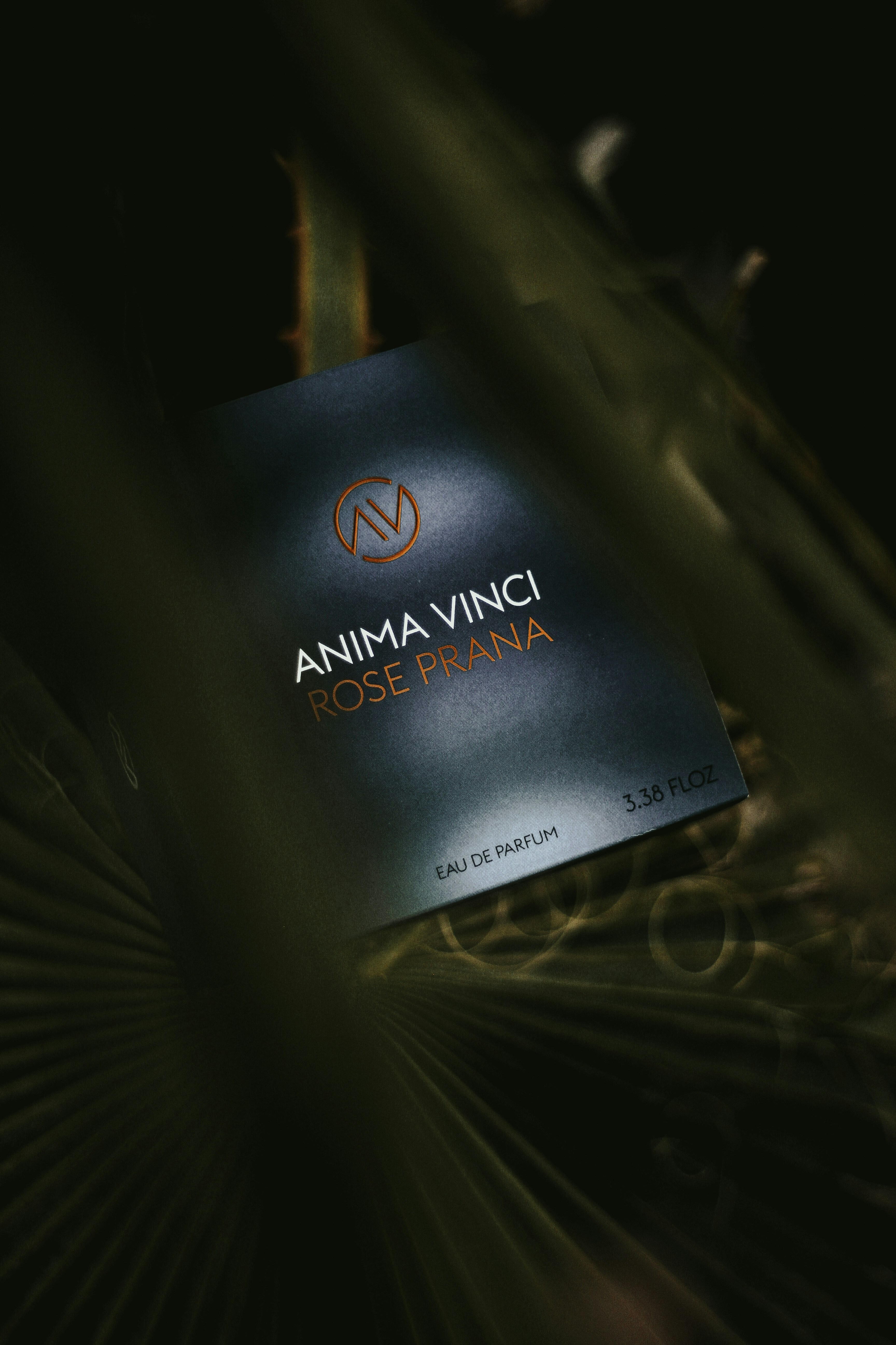 Moonlit Label: Anima Vinci Rose Prana Nestled in Fern Shadows
