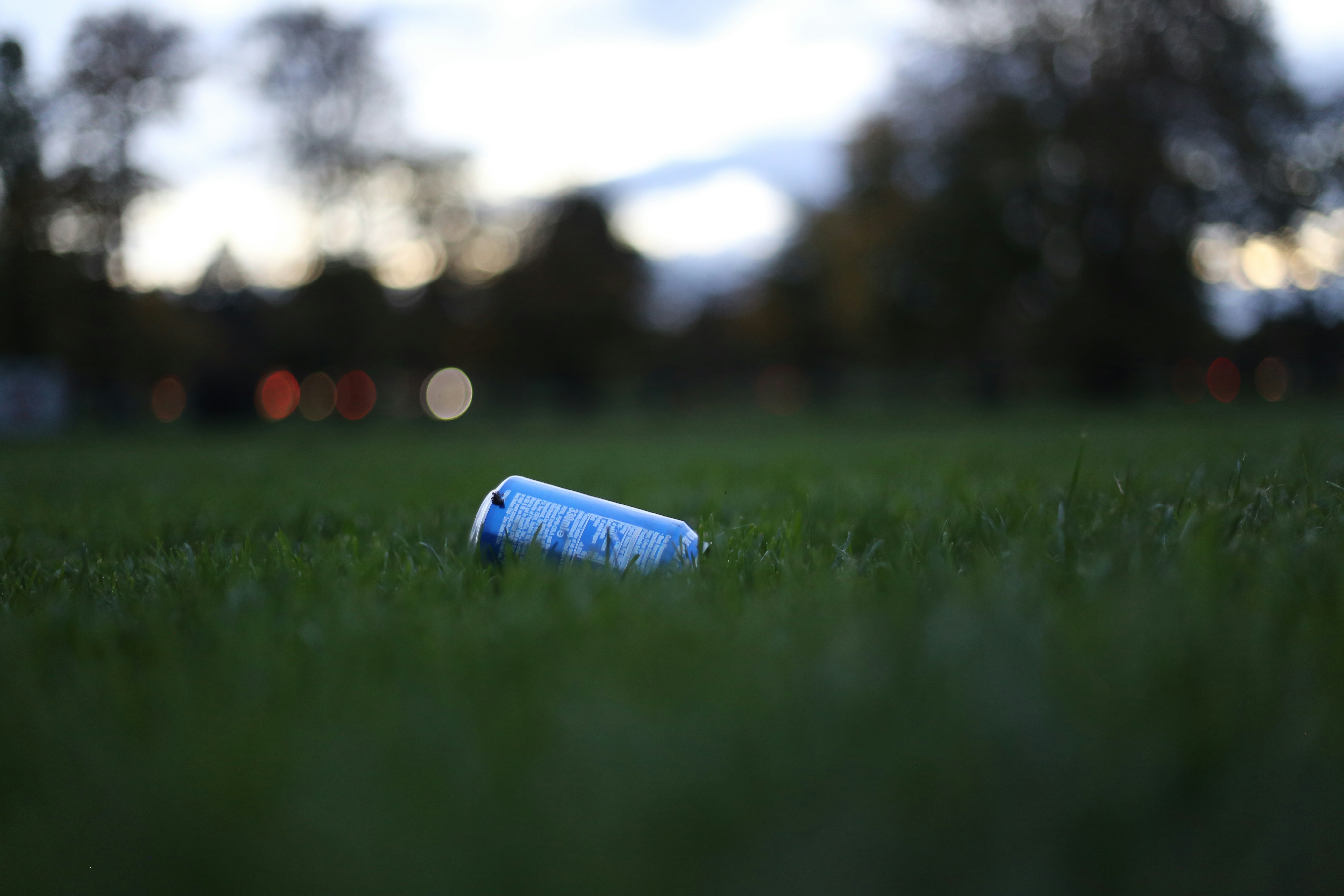 Silent Reminder in the Meadow