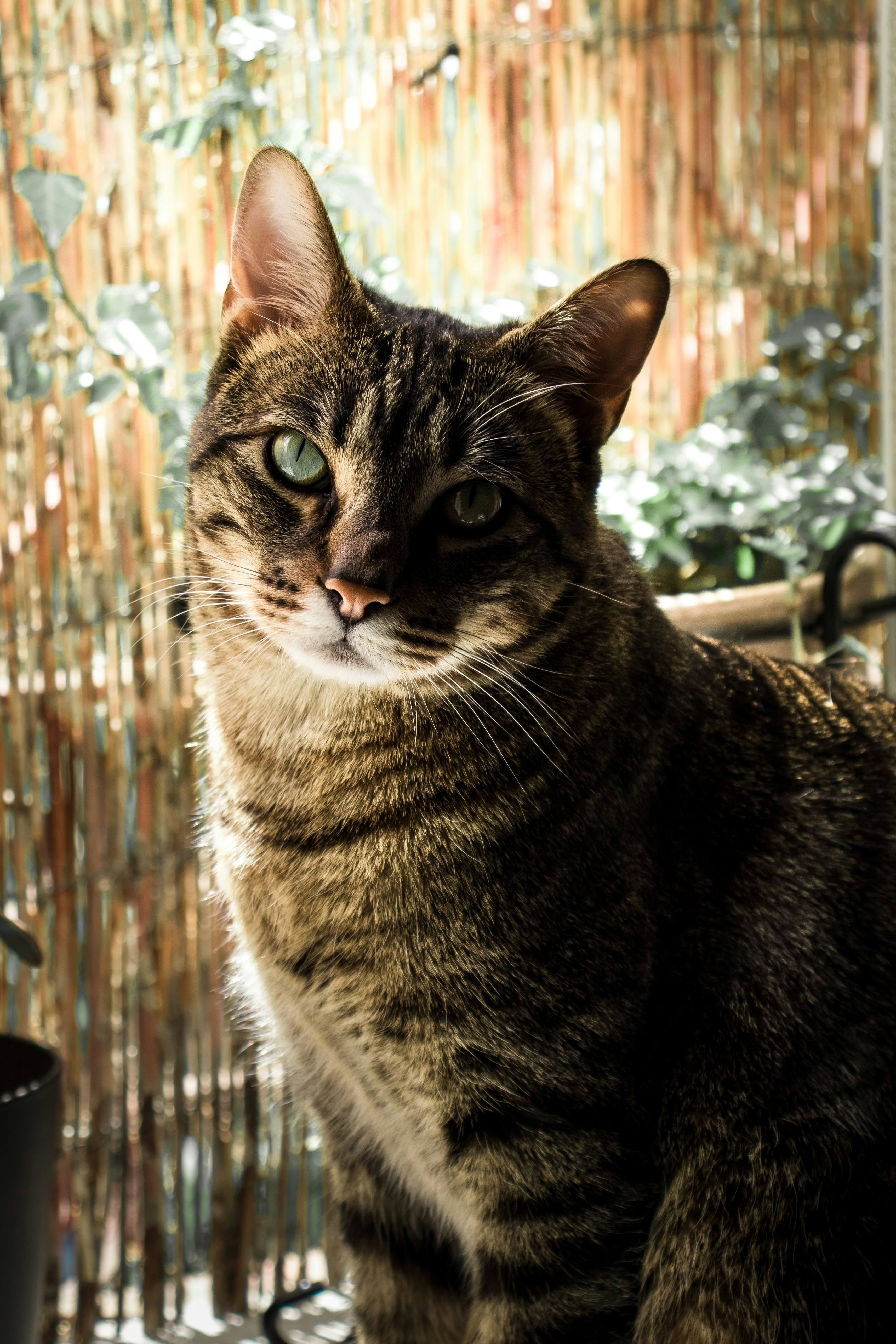 Photo by Gabriel Martin with Canon EOS 250D