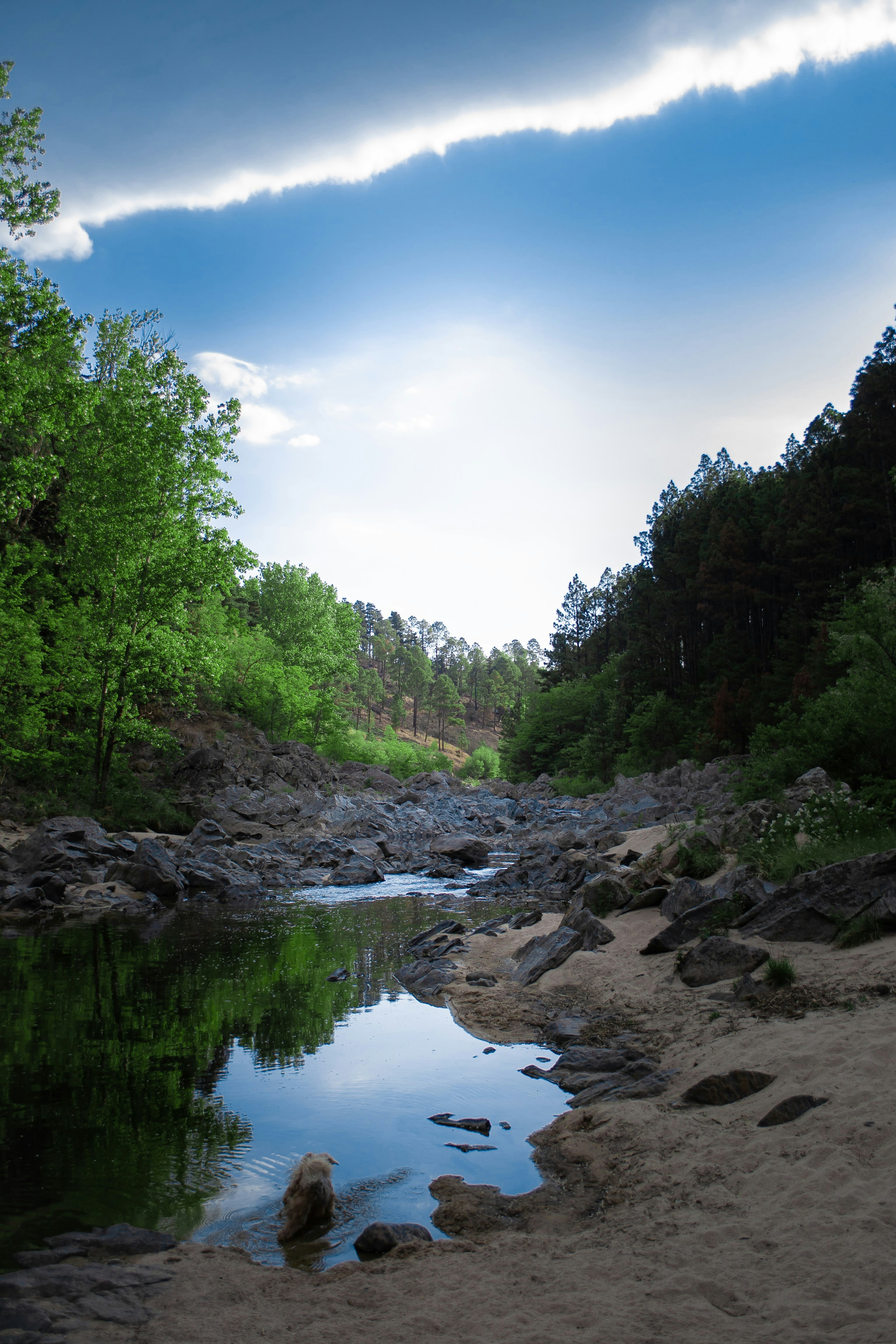 Riverbed Through the Green Corridor