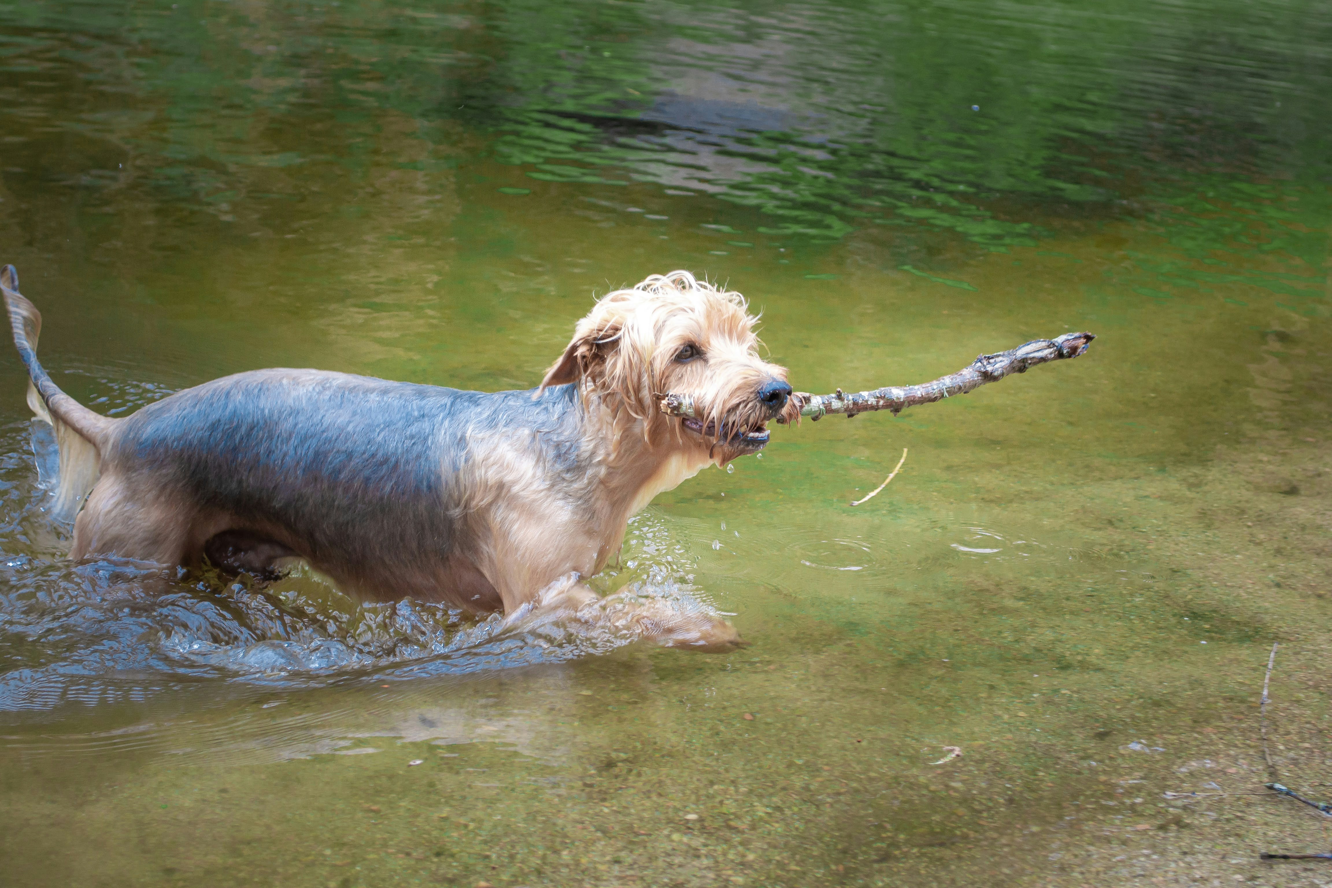 Photo by Gabriel Martin with Nikon D3100