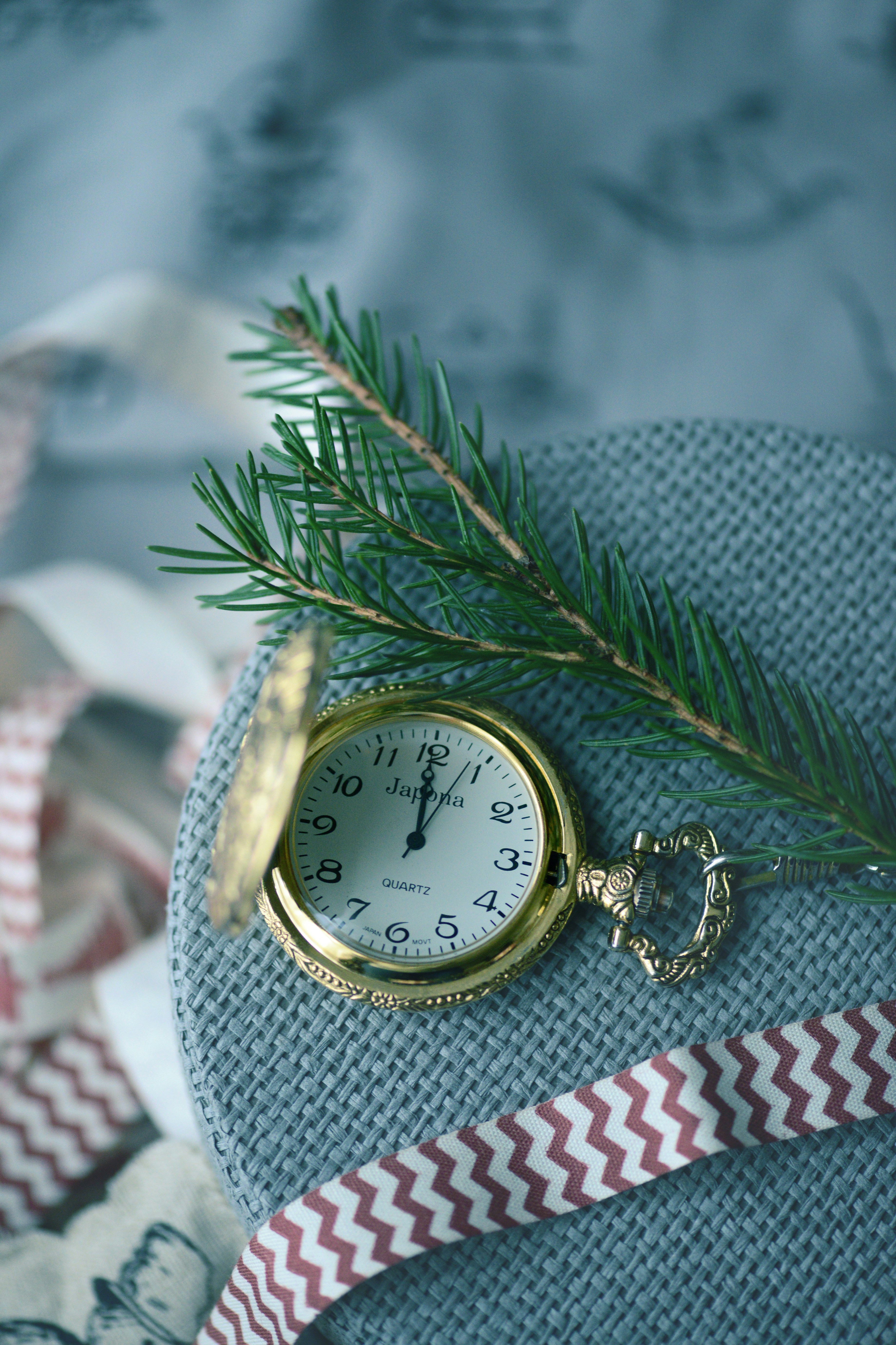 Golden Pocket Watch Nestled in Pine and Fabric