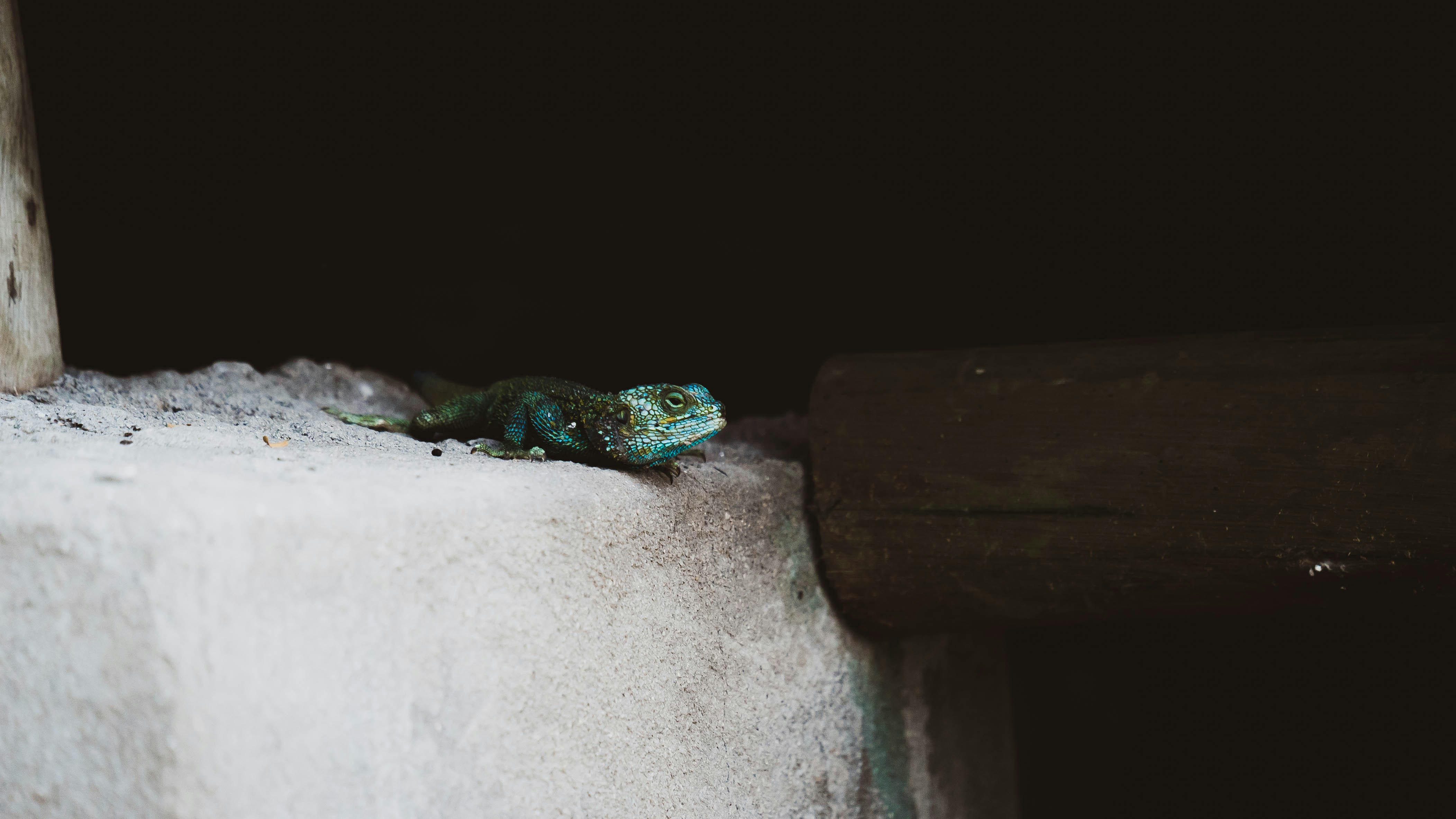 Emerald Gecko at the Concrete Threshold