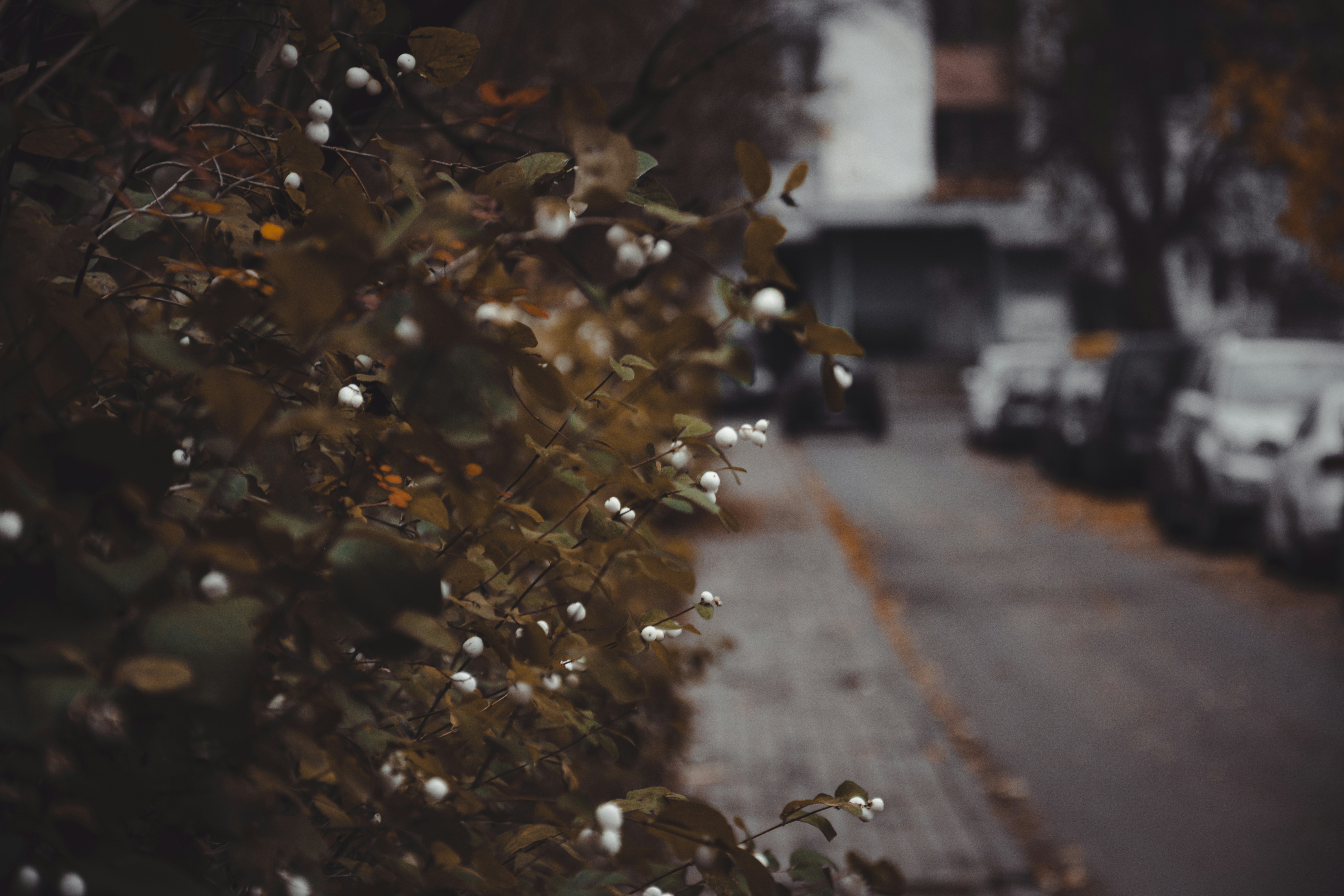 Foto zum Thema Eine Straße mit seitlich geparkten Autos – Kostenloses ...