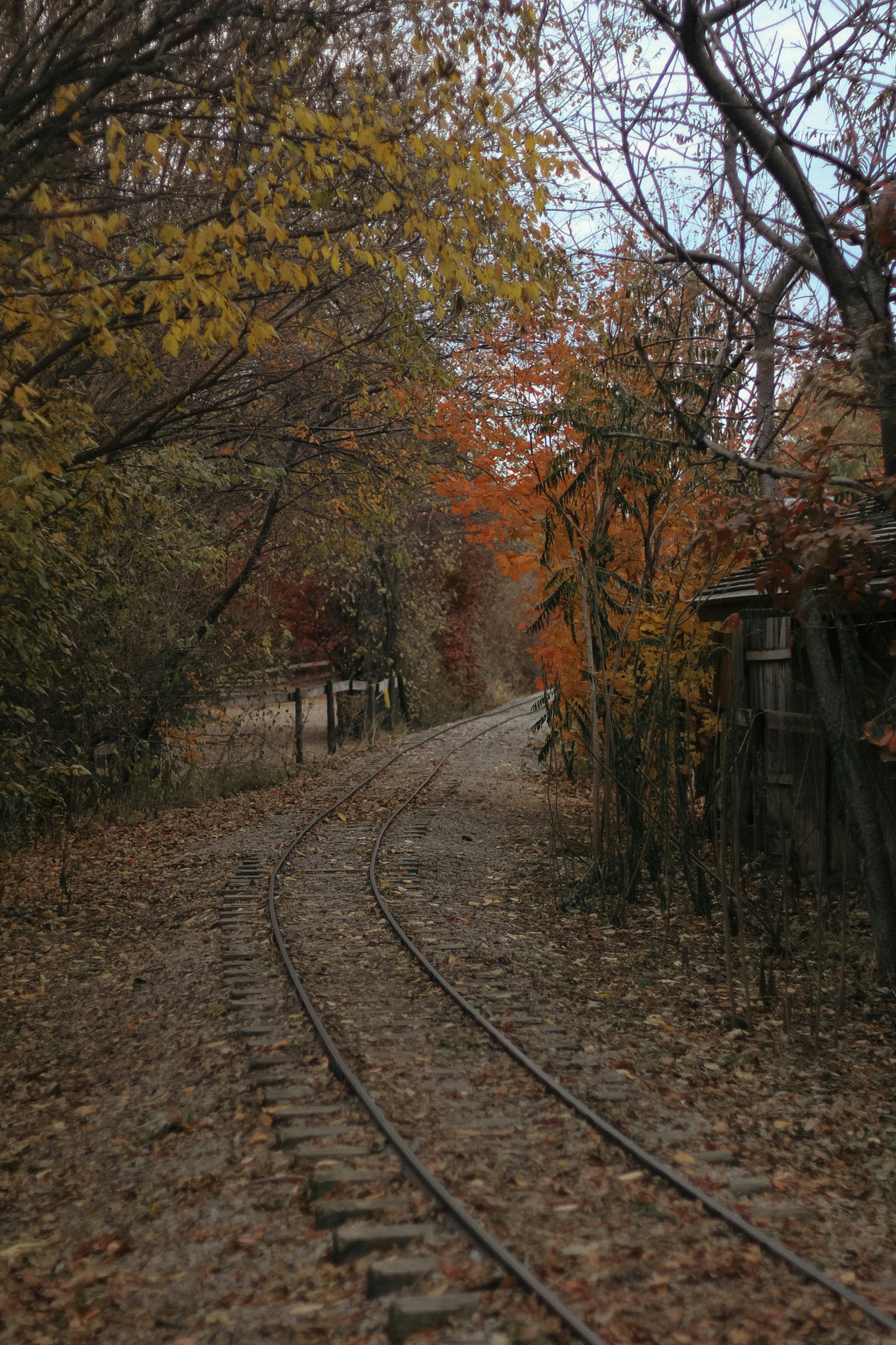 A railroad track with trees on either side of it photo – Free Fall ...