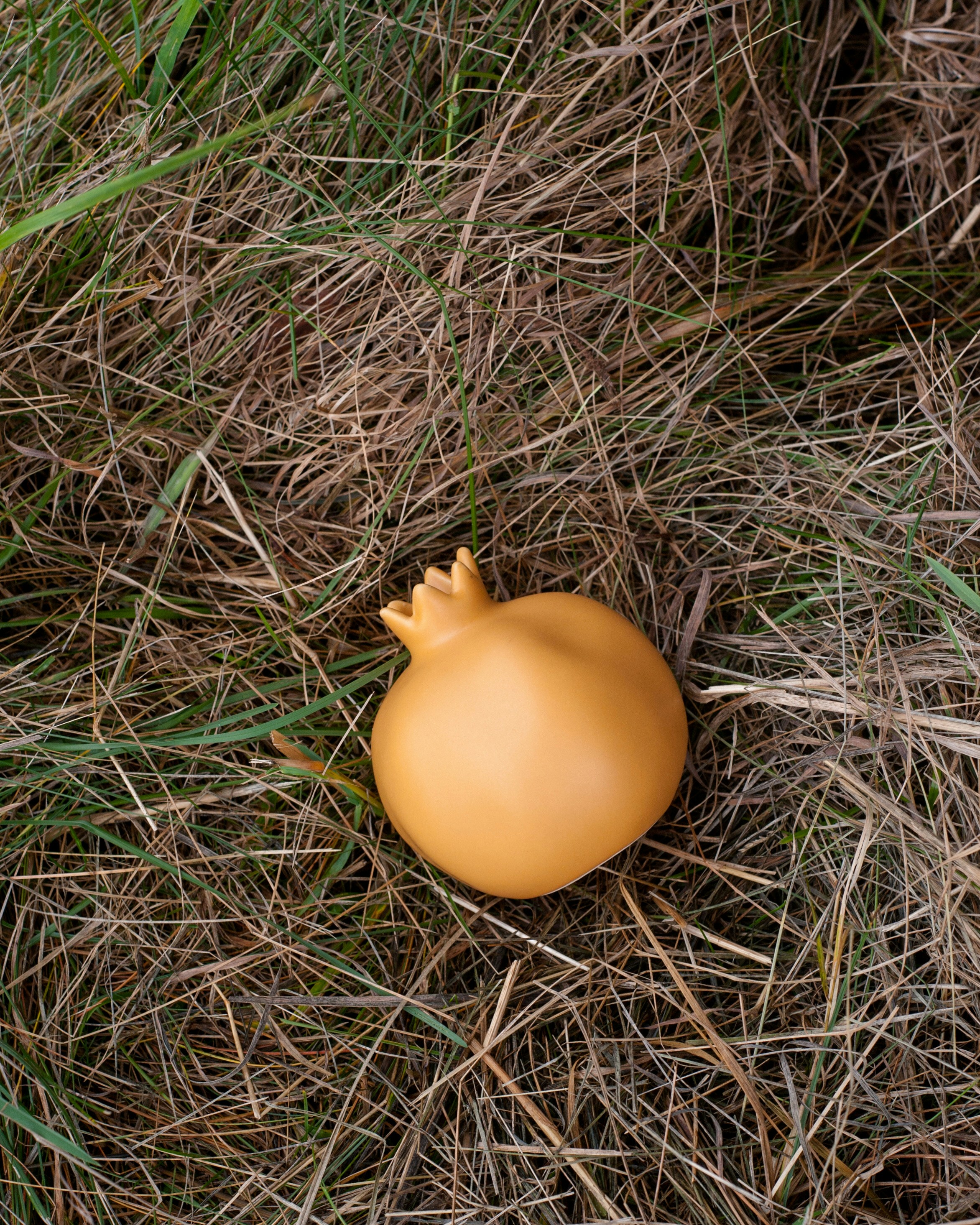 Photo by Lobacheva Ina with Nikon D700