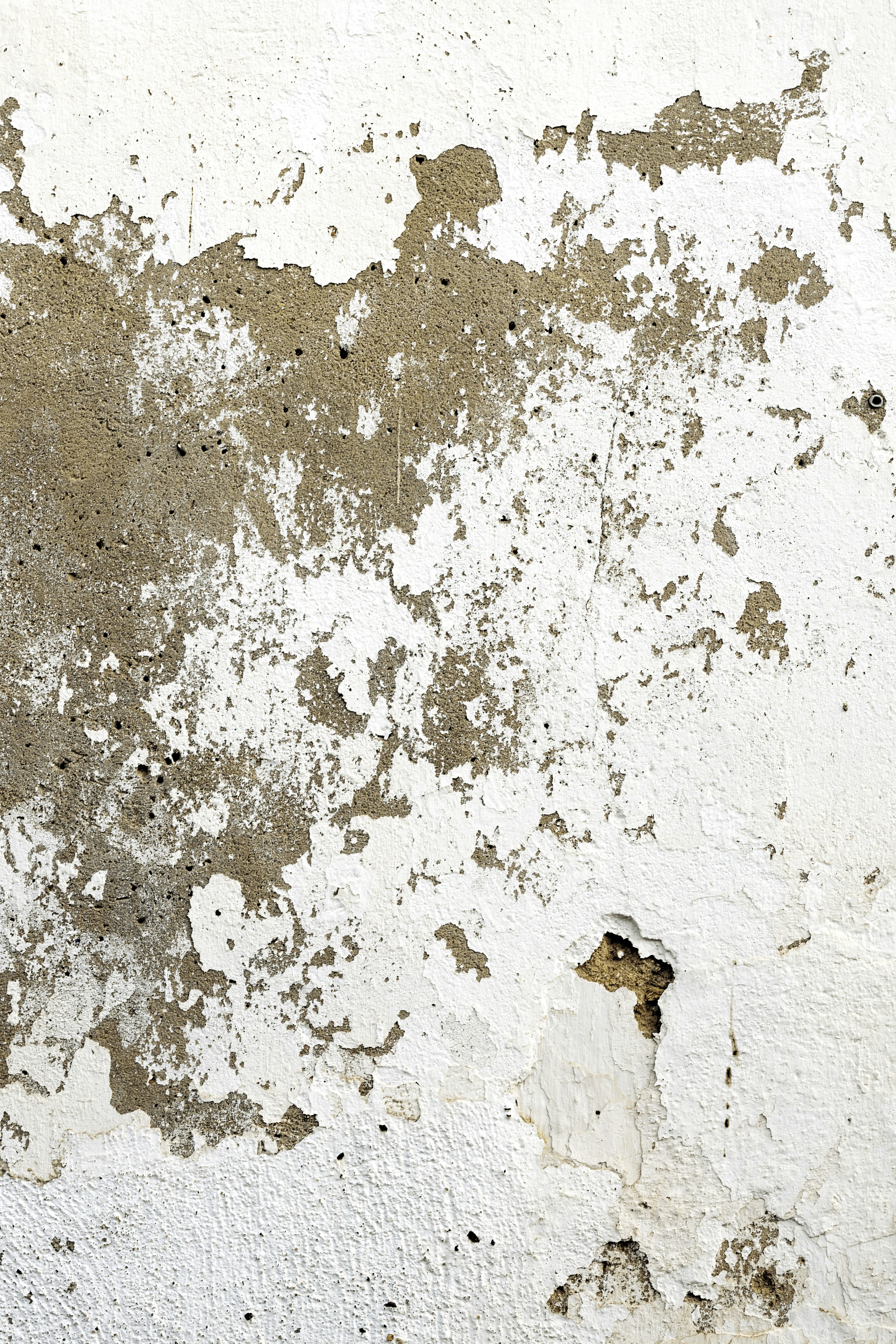 A close-up of a wall photo – Free Home damage Image on Unsplash