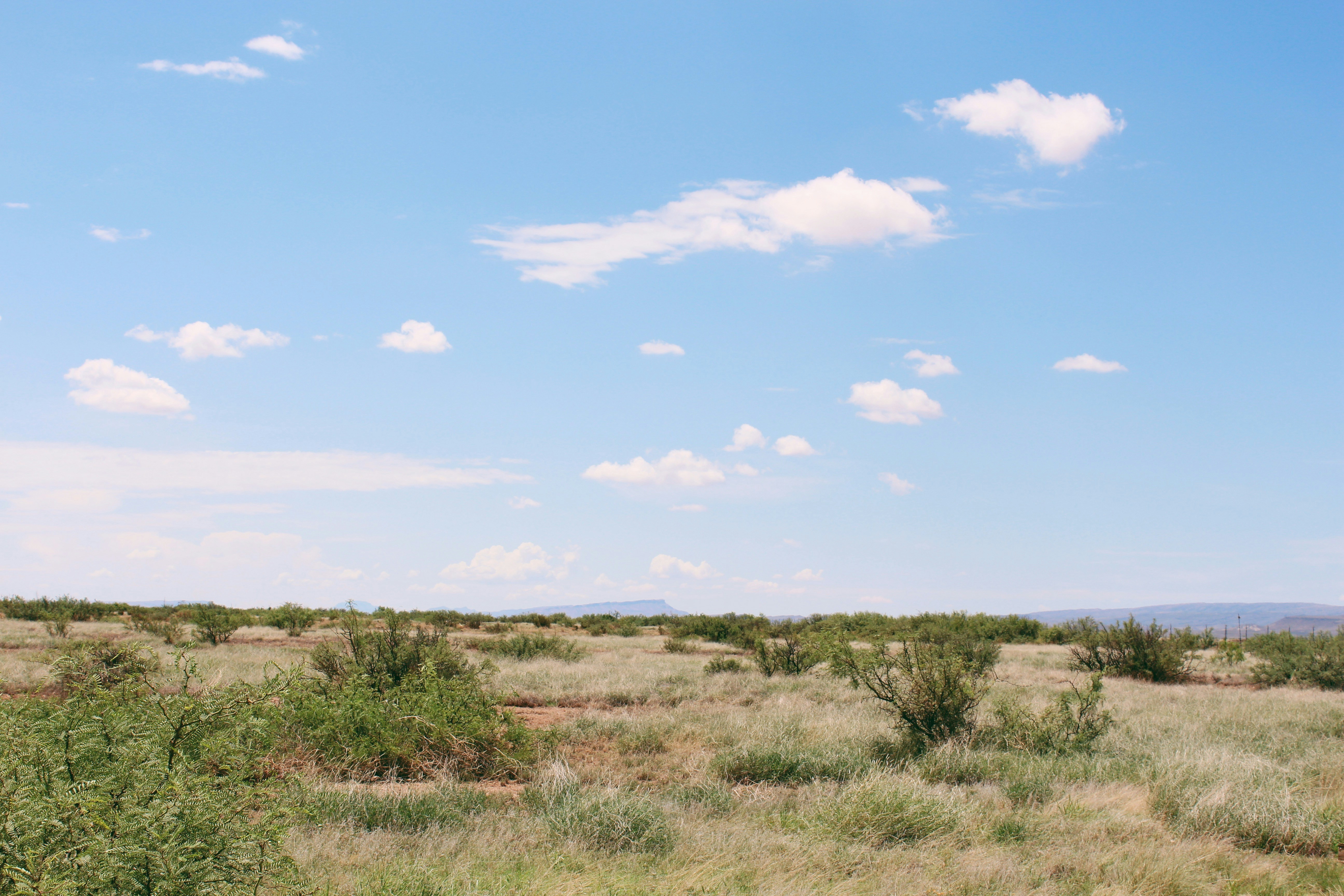 Photo by tyler richardson with Canon EOS 650D