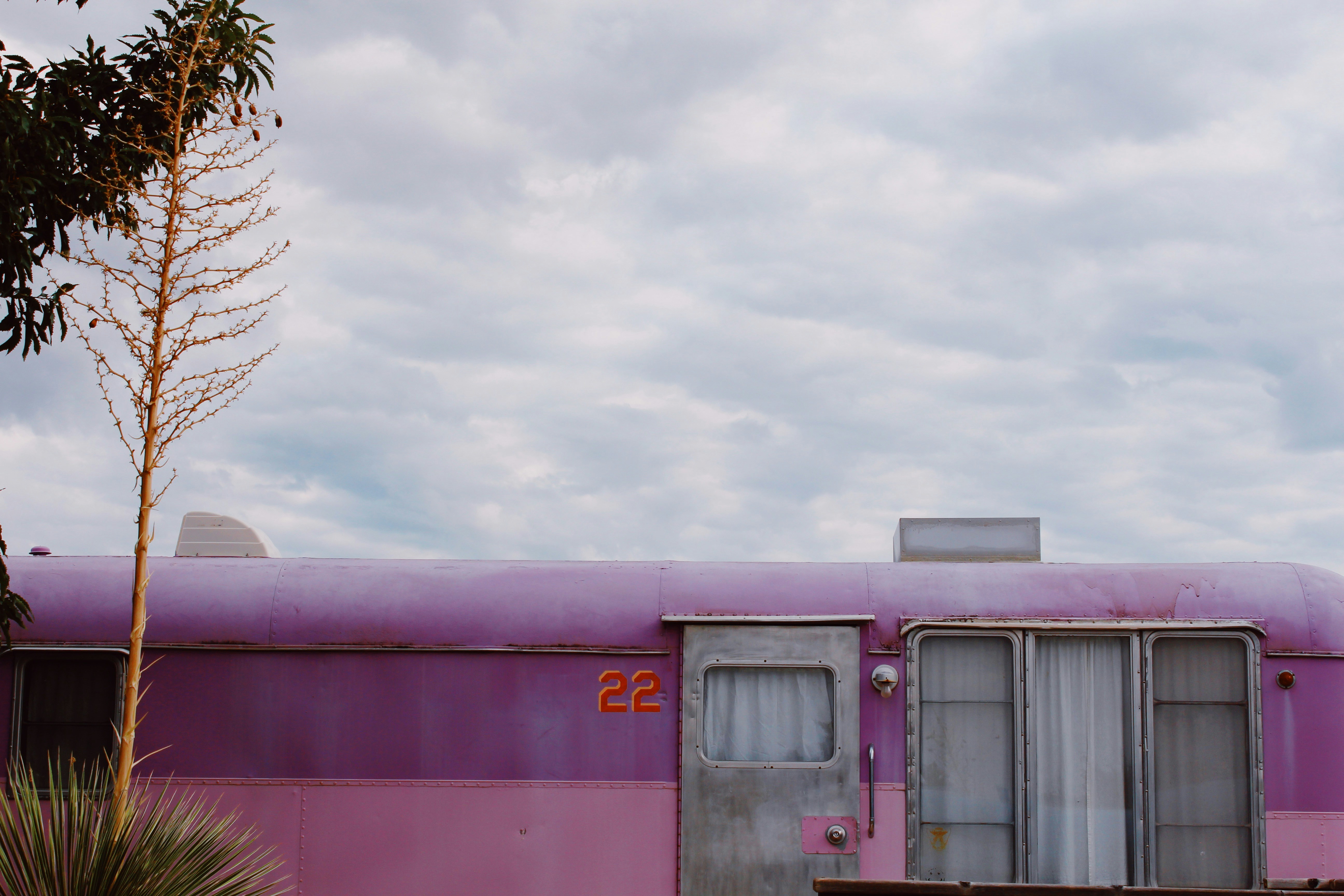 Rosé Rails: The Quiet Curve of a Purple Car