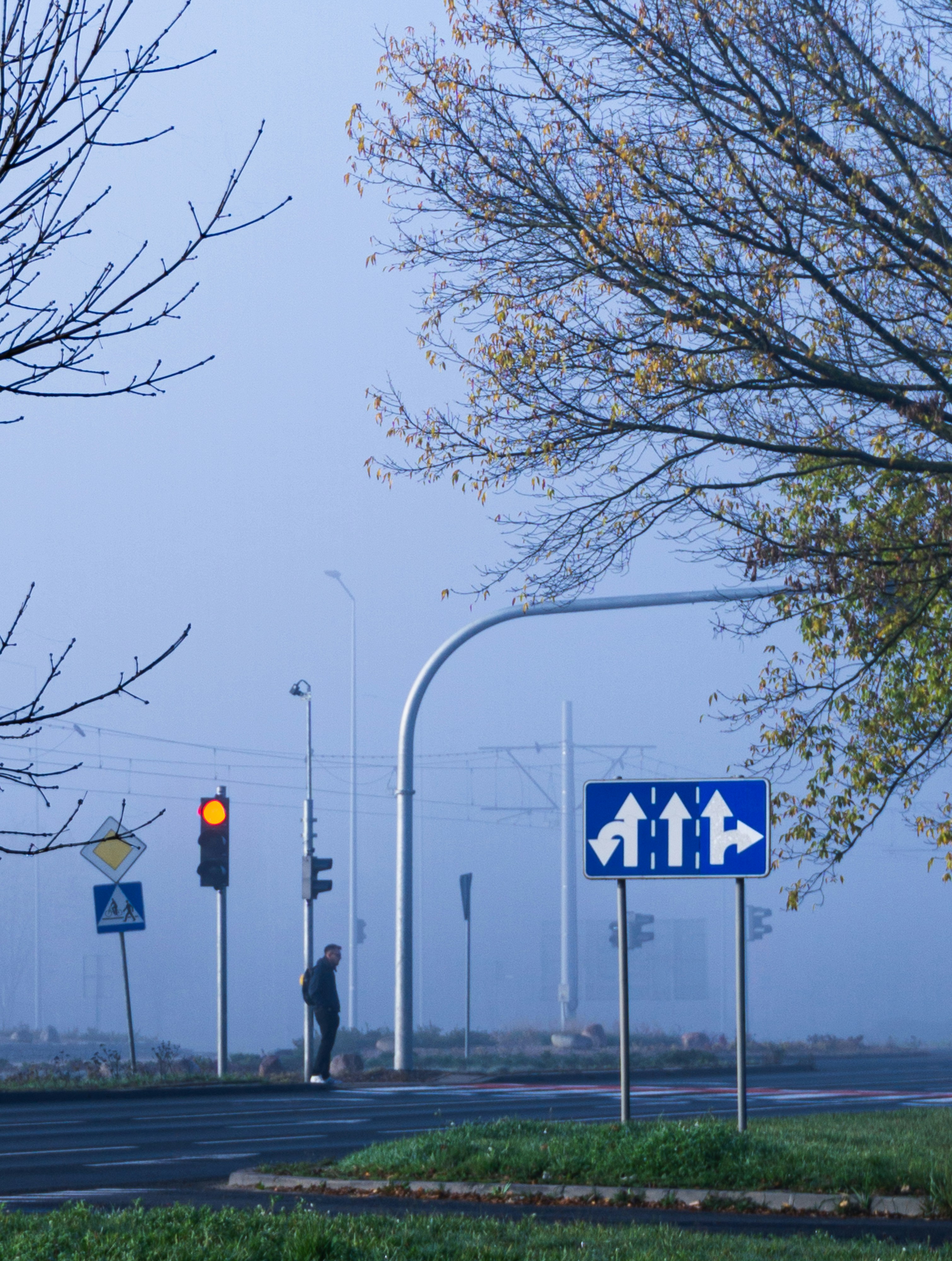 Fogbound Crosswalk: A Lone Pedestrian in Blue Morning Mist